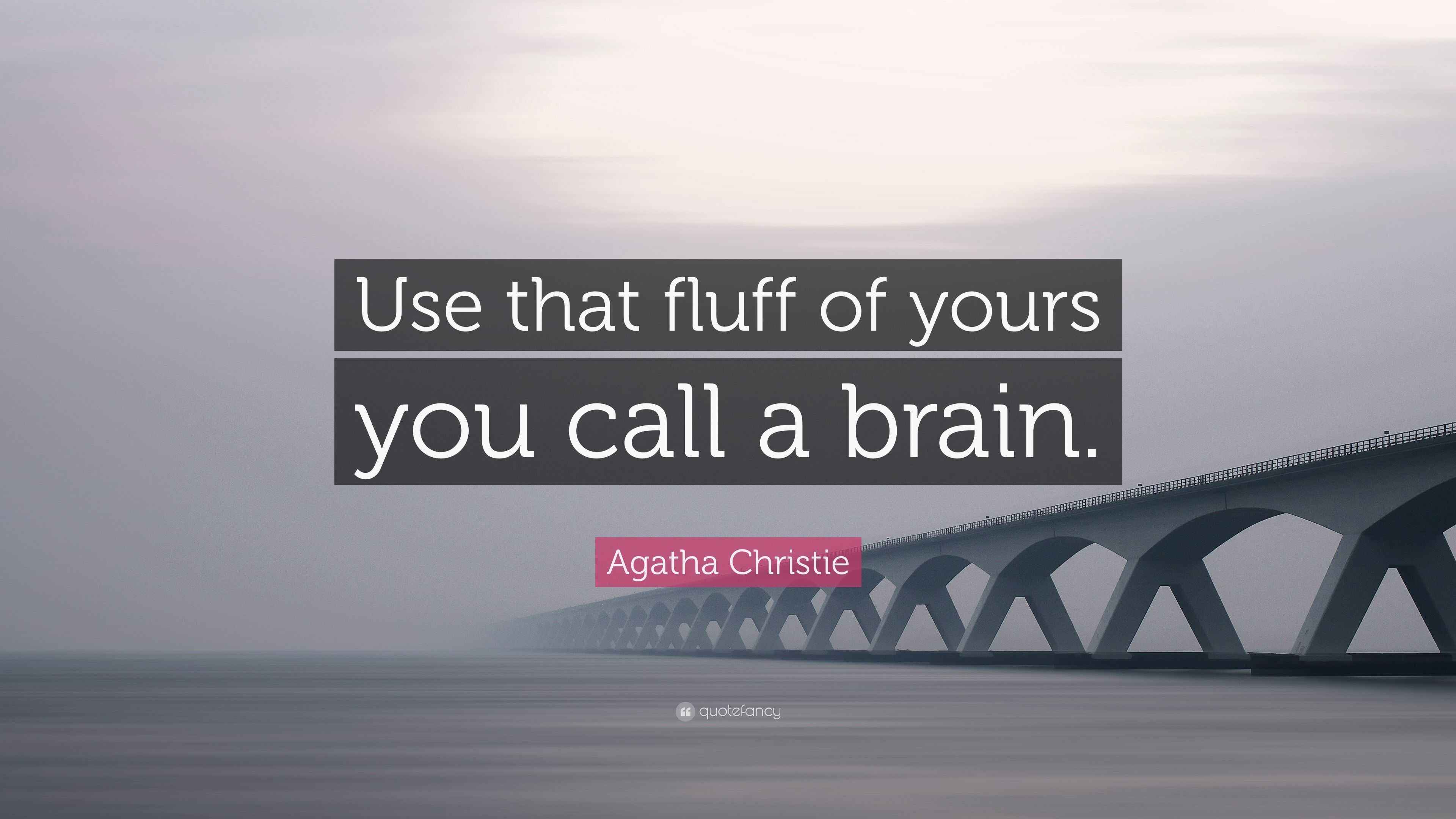 Agatha Christie Quote: “Use that fluff of yours you call a brain.”