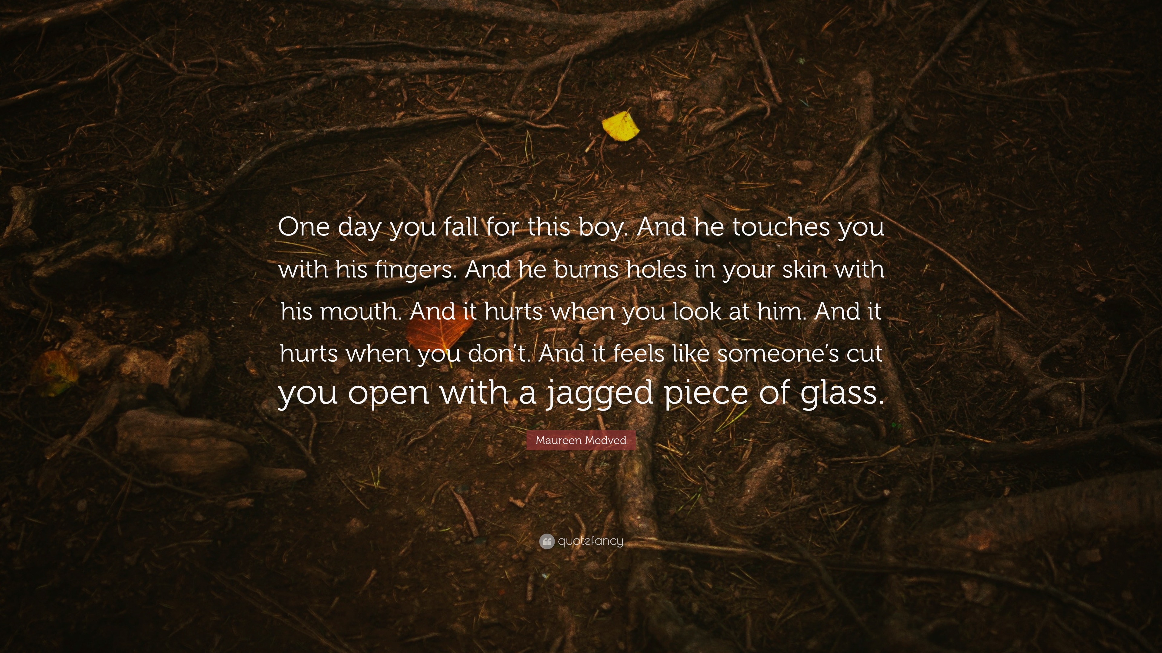Maureen Medved Quote: “One day you fall for this boy. And he touches ...