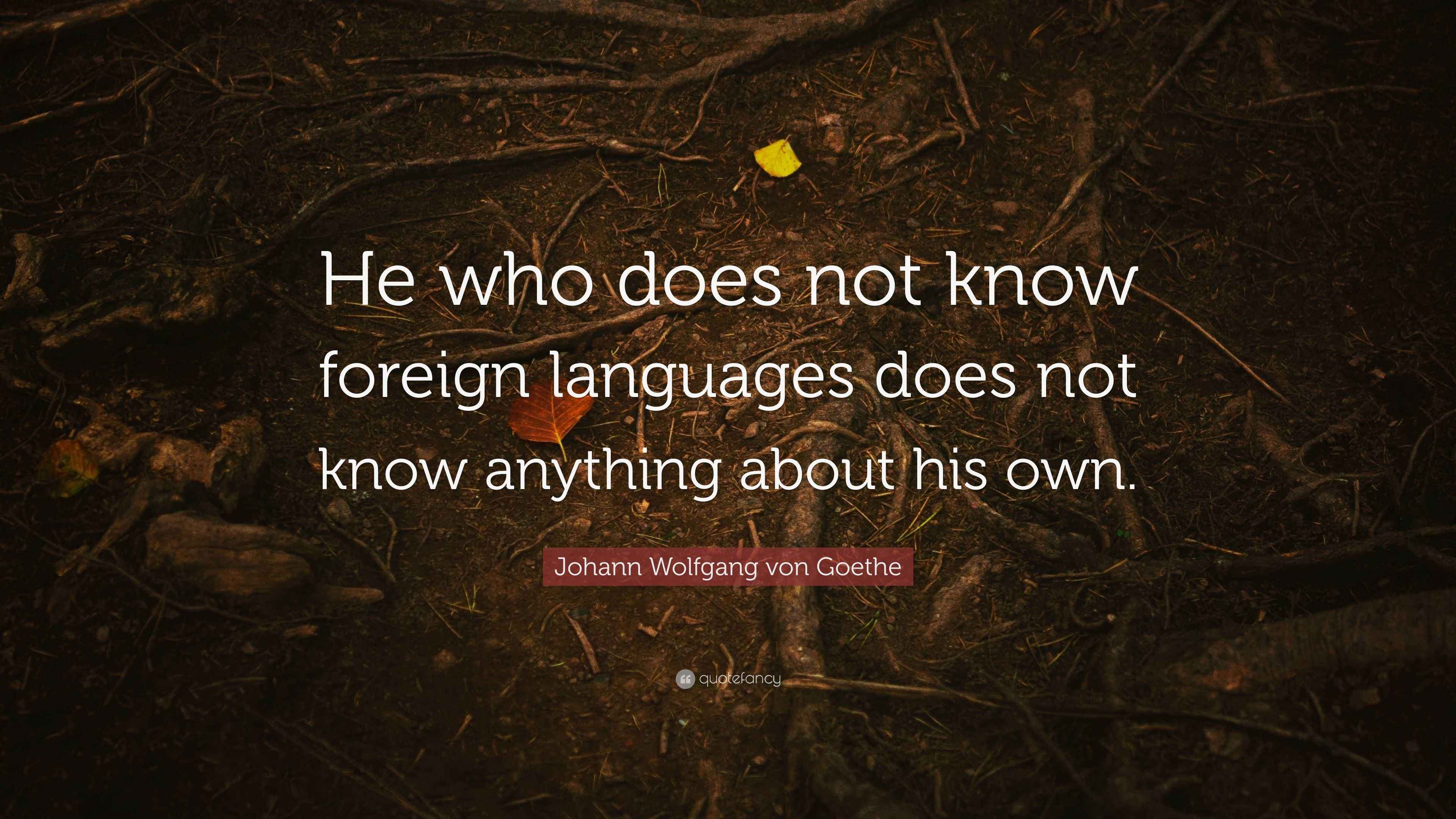 Johann Wolfgang von Goethe Quote: “He who does not know foreign ...