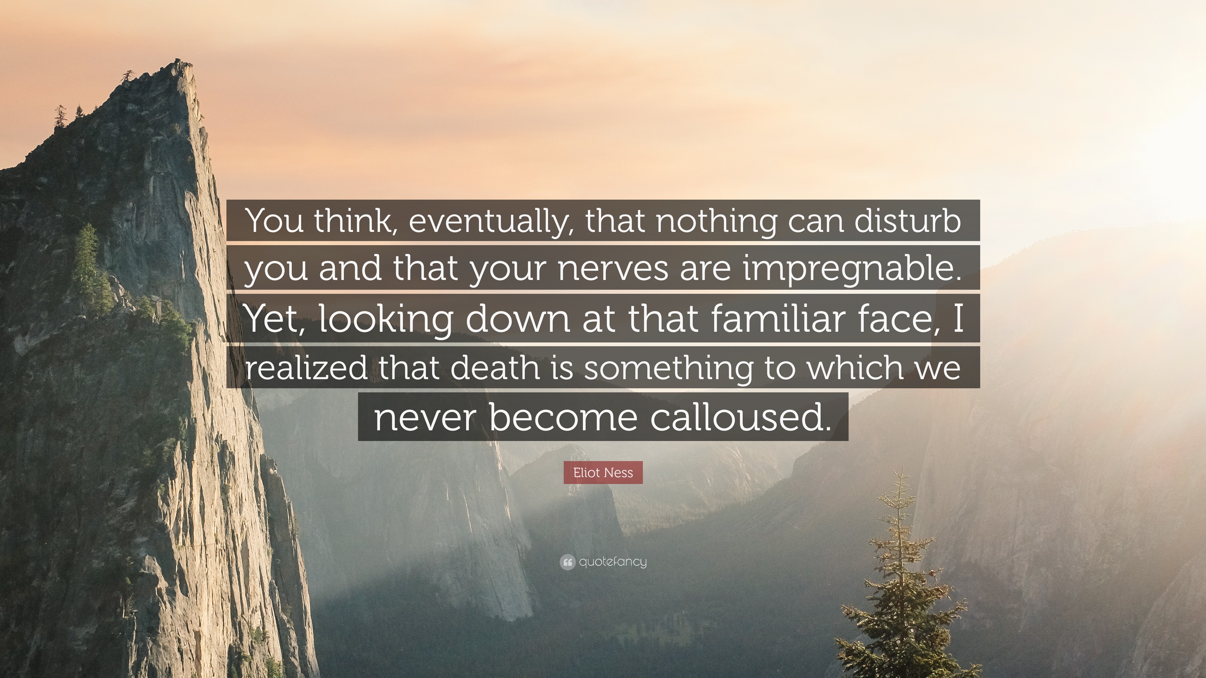 Eliot Ness Quote: “You think, eventually, that nothing can disturb you ...
