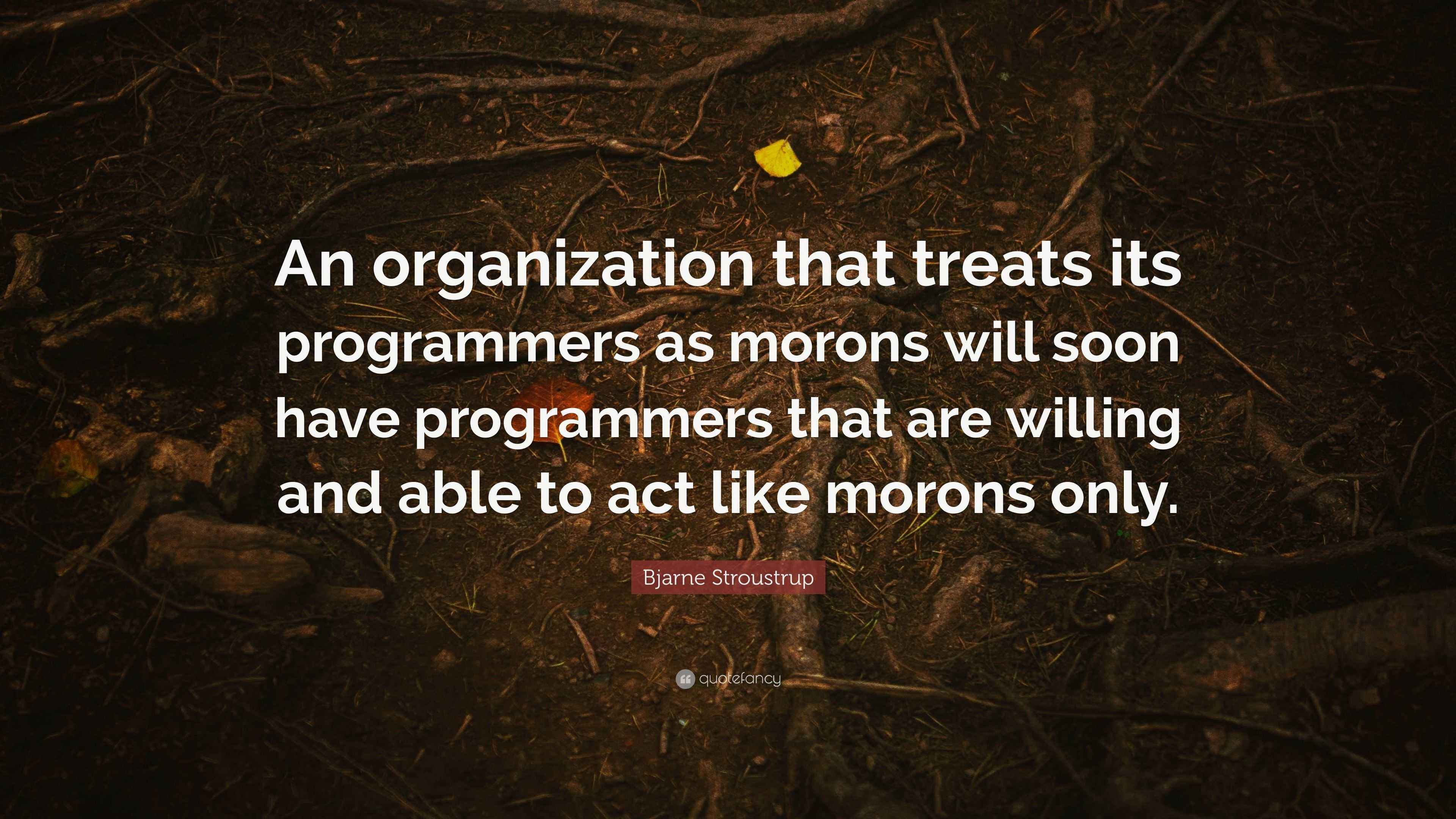 Bjarne Stroustrup Quote “an Organization That Treats Its Programmers