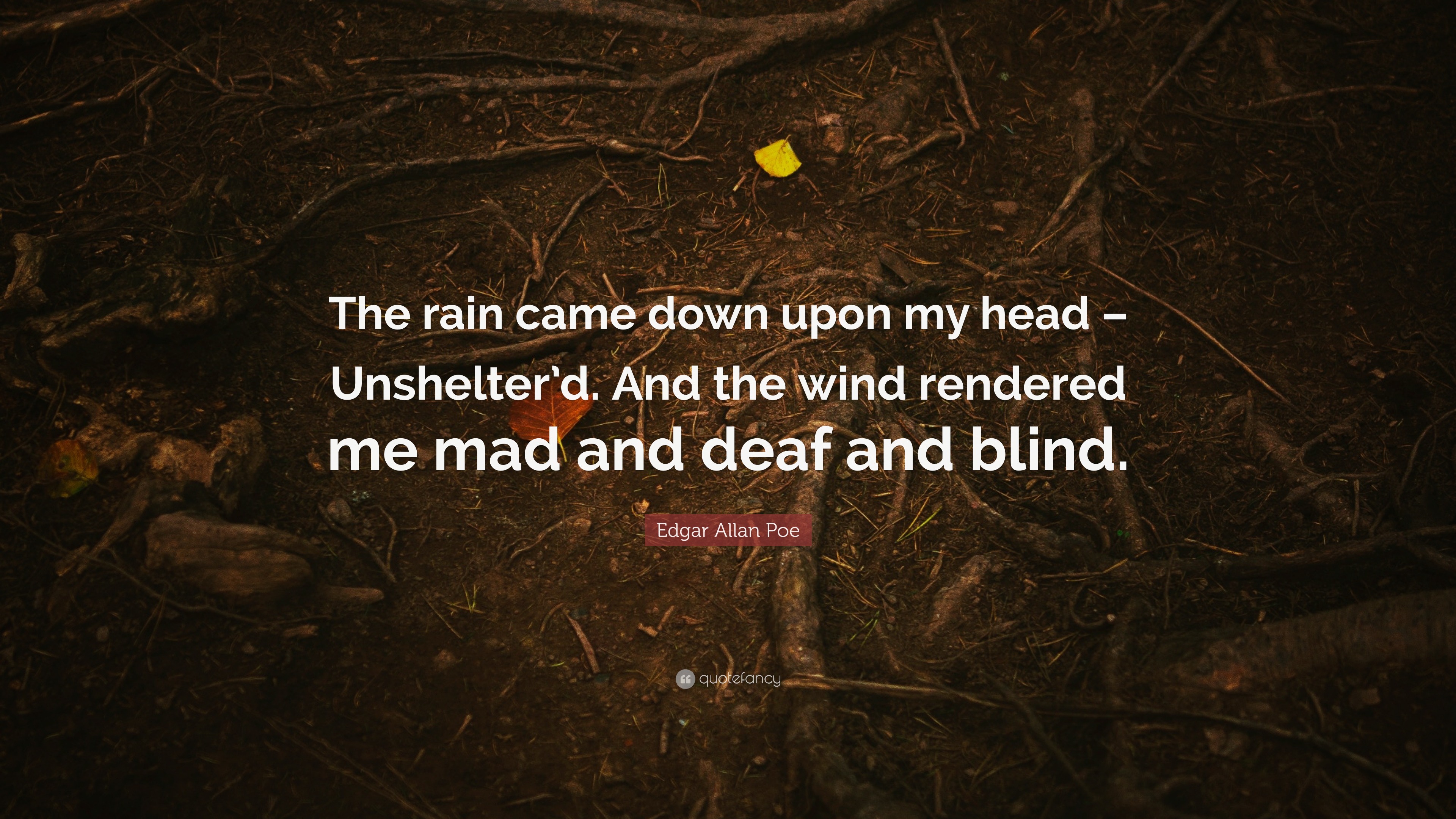 Edgar Allan Poe Quote: “The rain came down upon my head – Unshelter’d ...