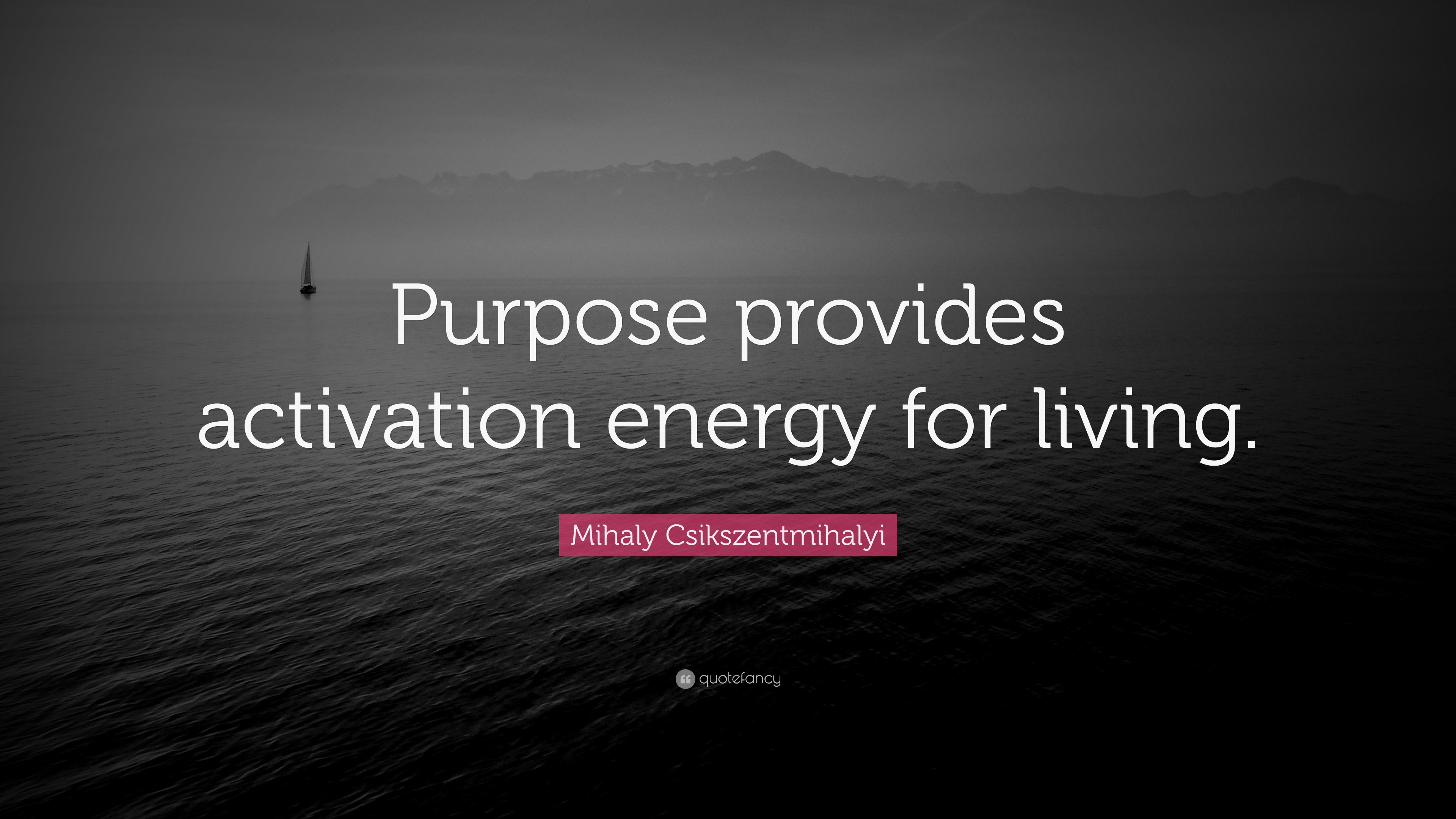 Mihaly Csikszentmihalyi Quote: “Purpose provides activation energy for ...