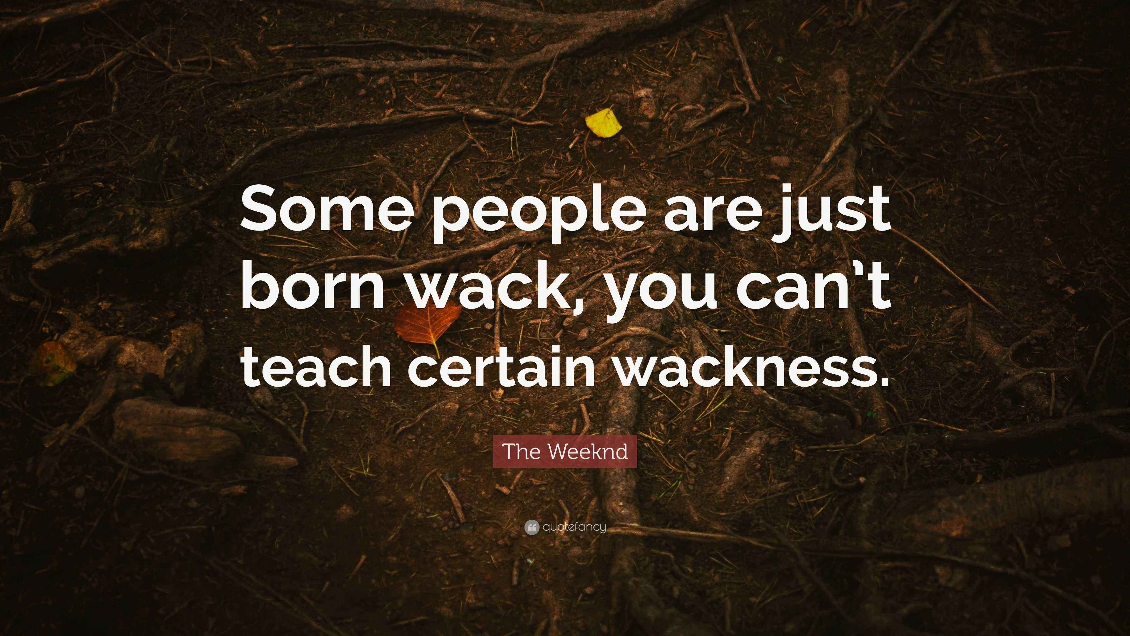 The Weeknd Quote: “Some people are just born wack, you can’t teach ...