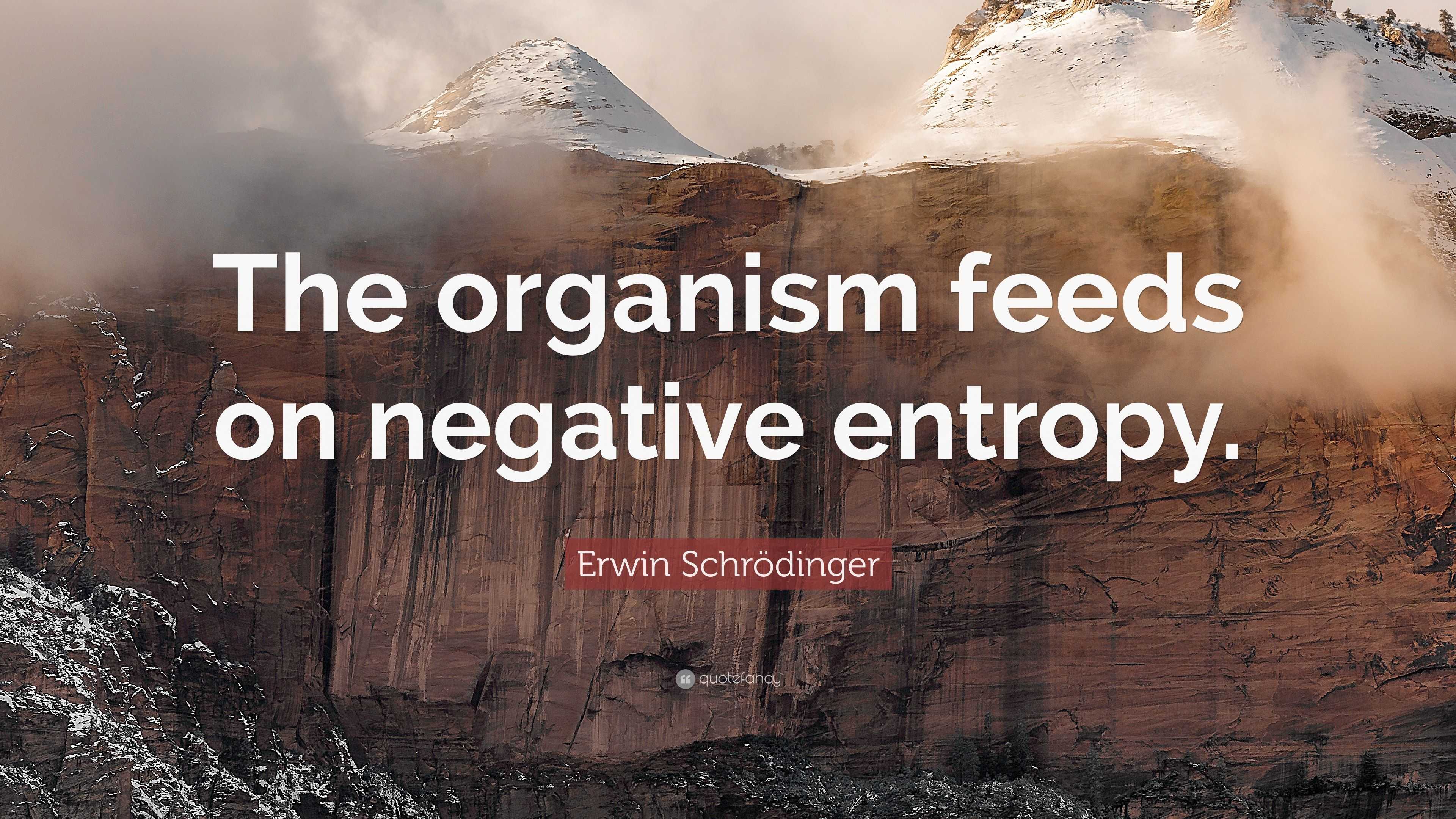 Erwin Schrödinger Quote: “The organism feeds on negative entropy.”