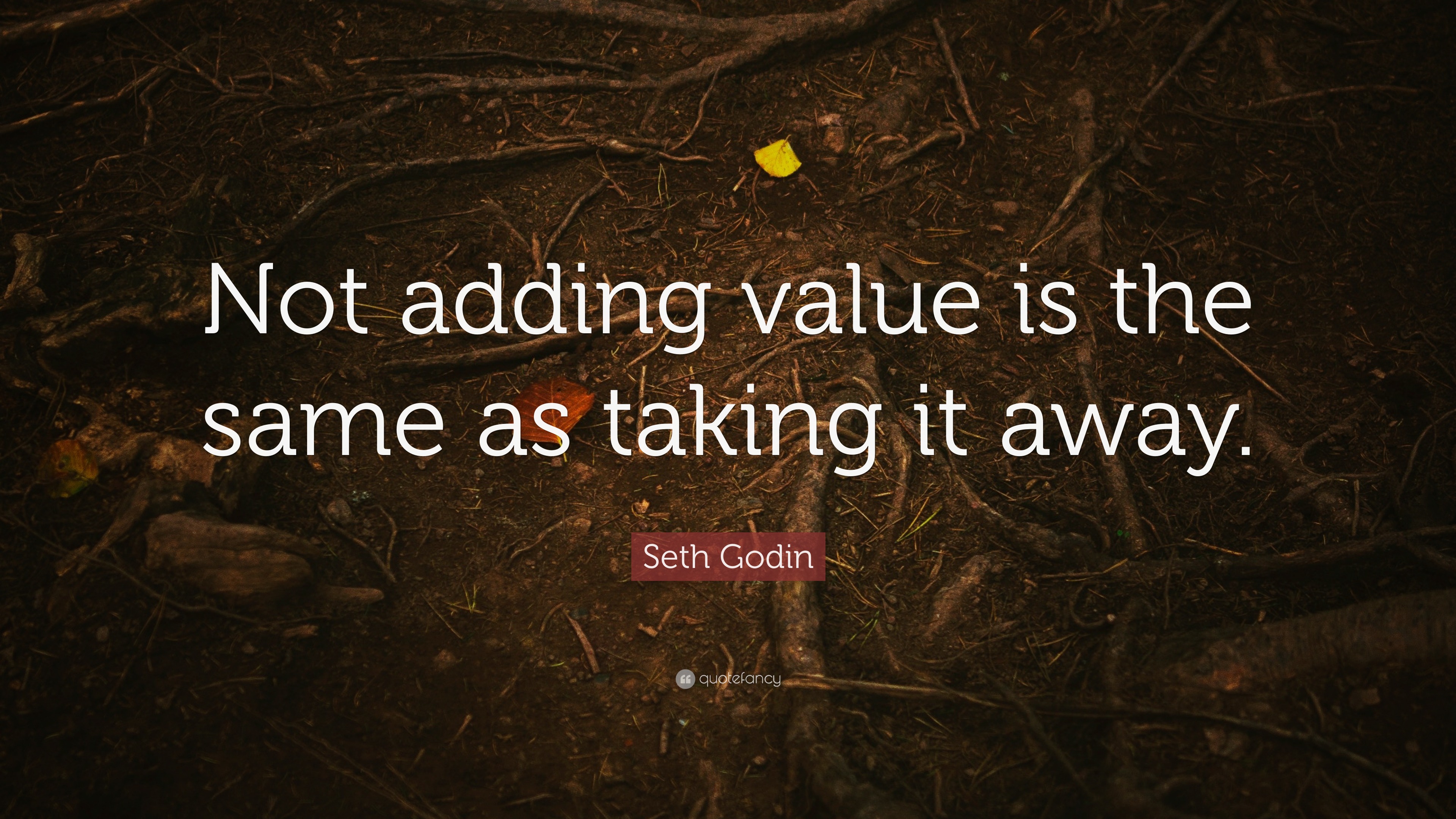 Seth Godin Quote: “Not adding value is the same as taking it away.”