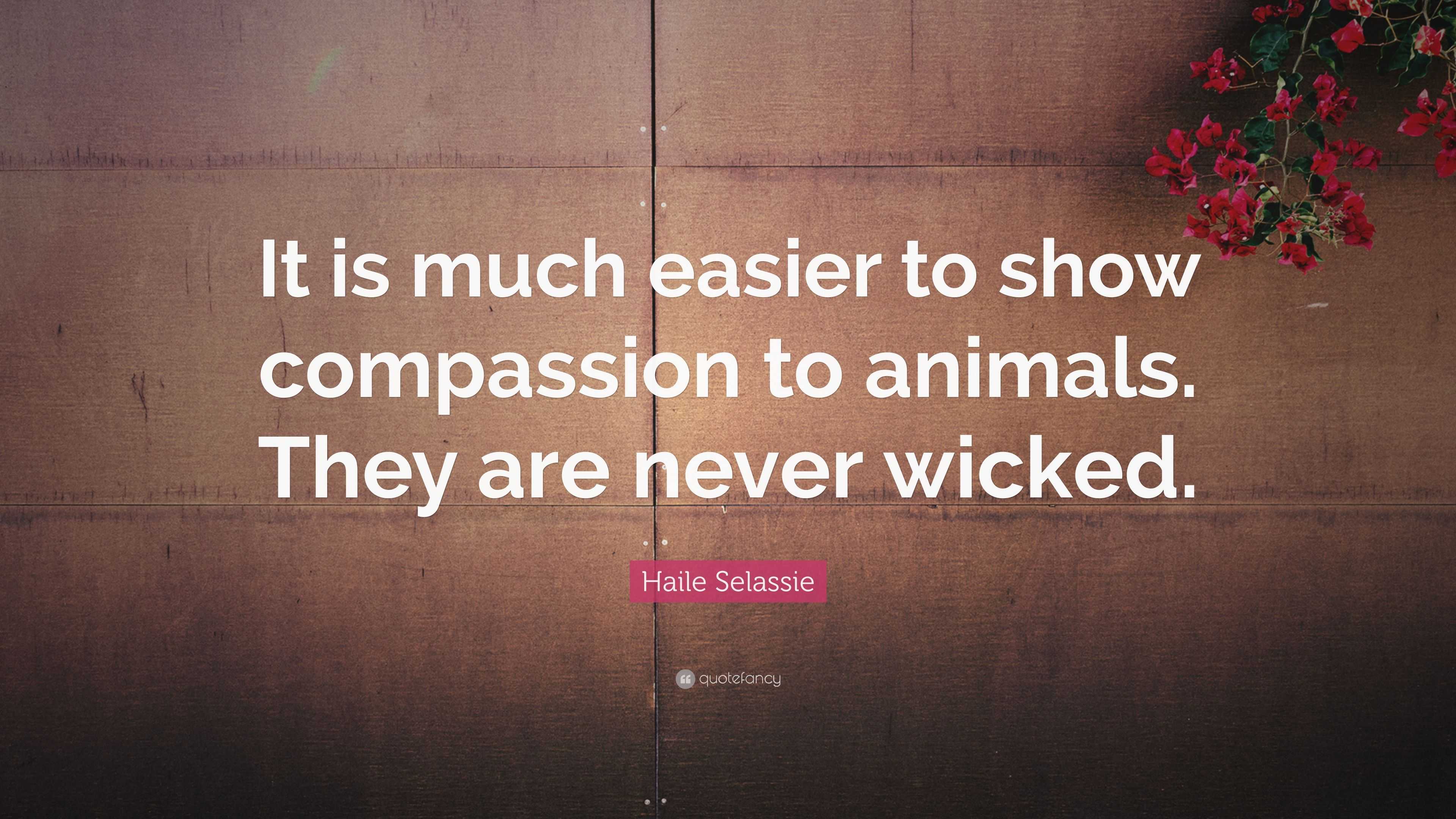 Animal Compassion Quotes