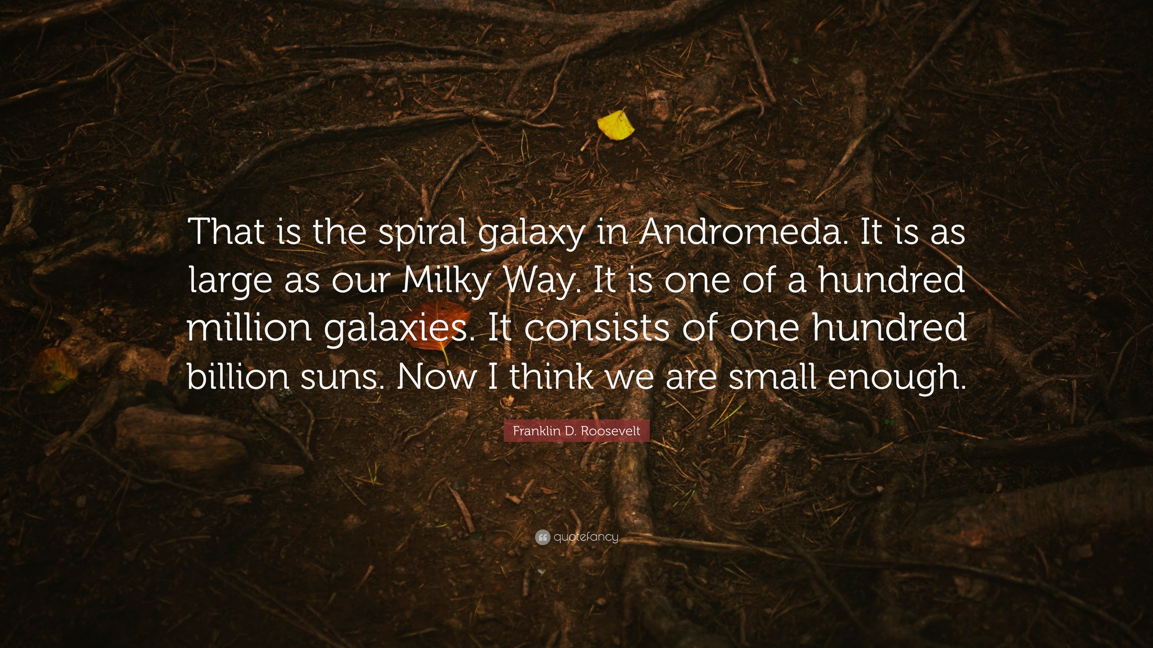 Franklin D. Roosevelt Quote: “That is the spiral galaxy in Andromeda ...