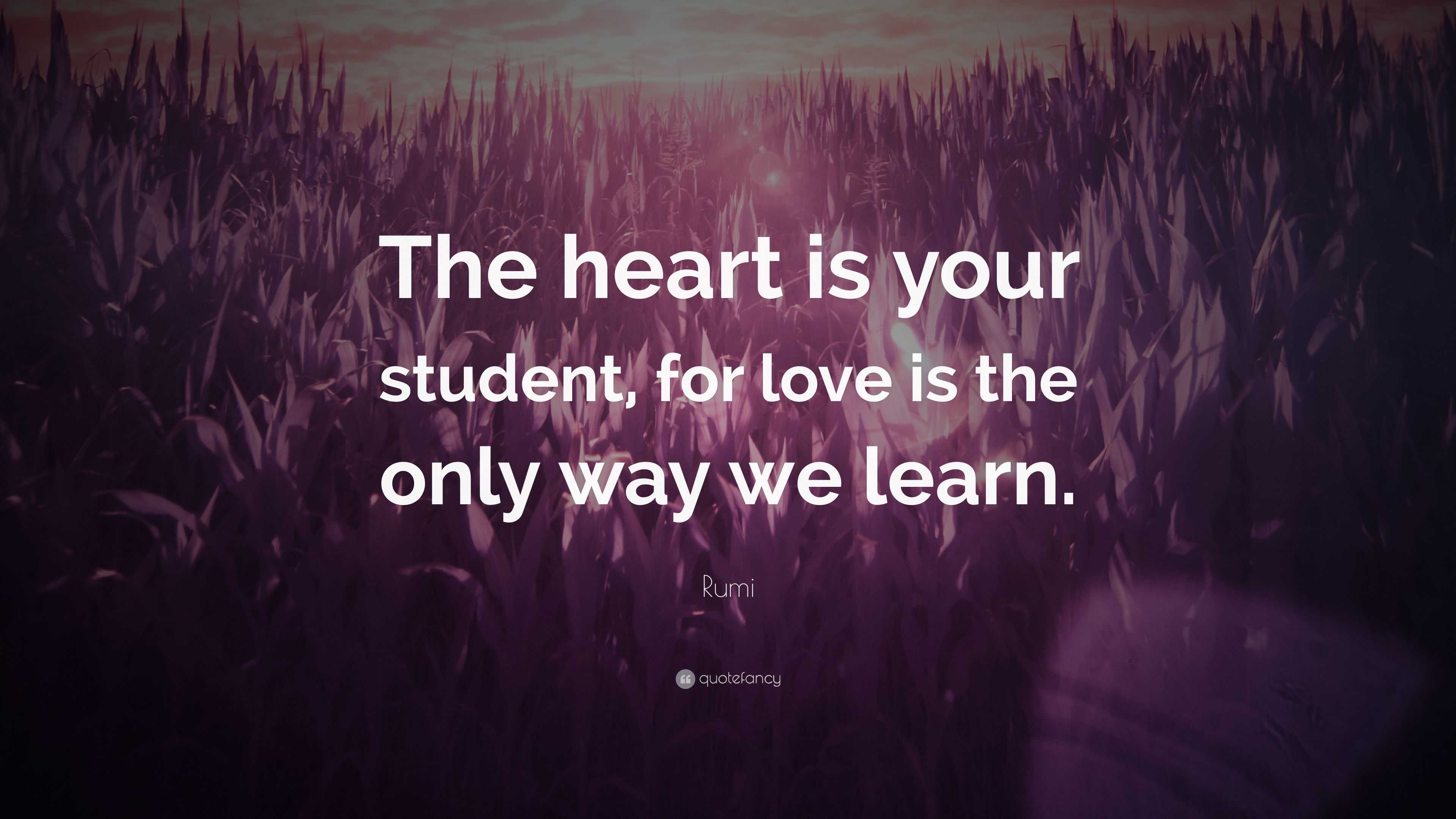 Rumi Quote: “The heart is your student, for love is the only way we learn.”