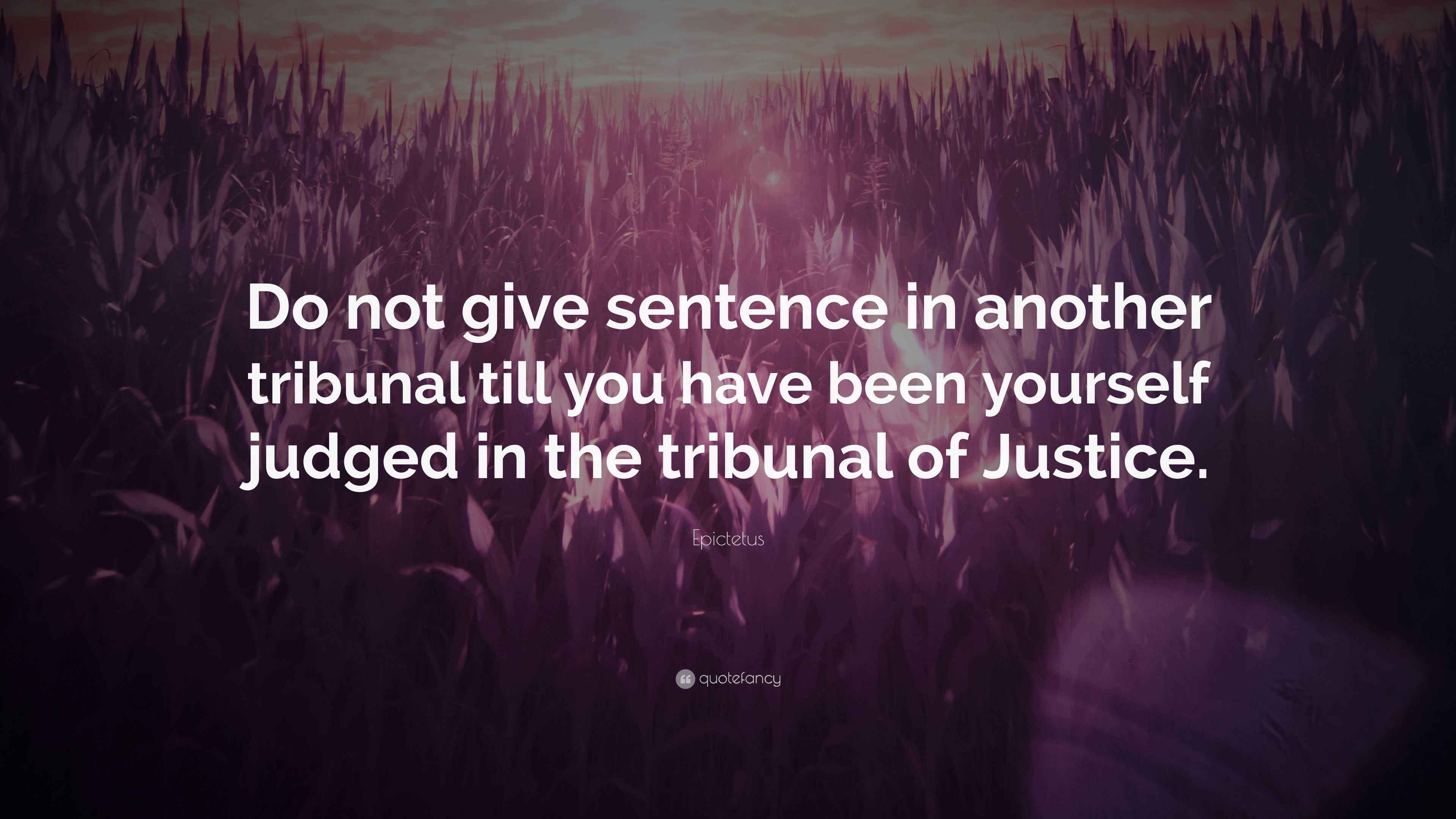 Epictetus Quote: “Do not give sentence in another tribunal till you ...