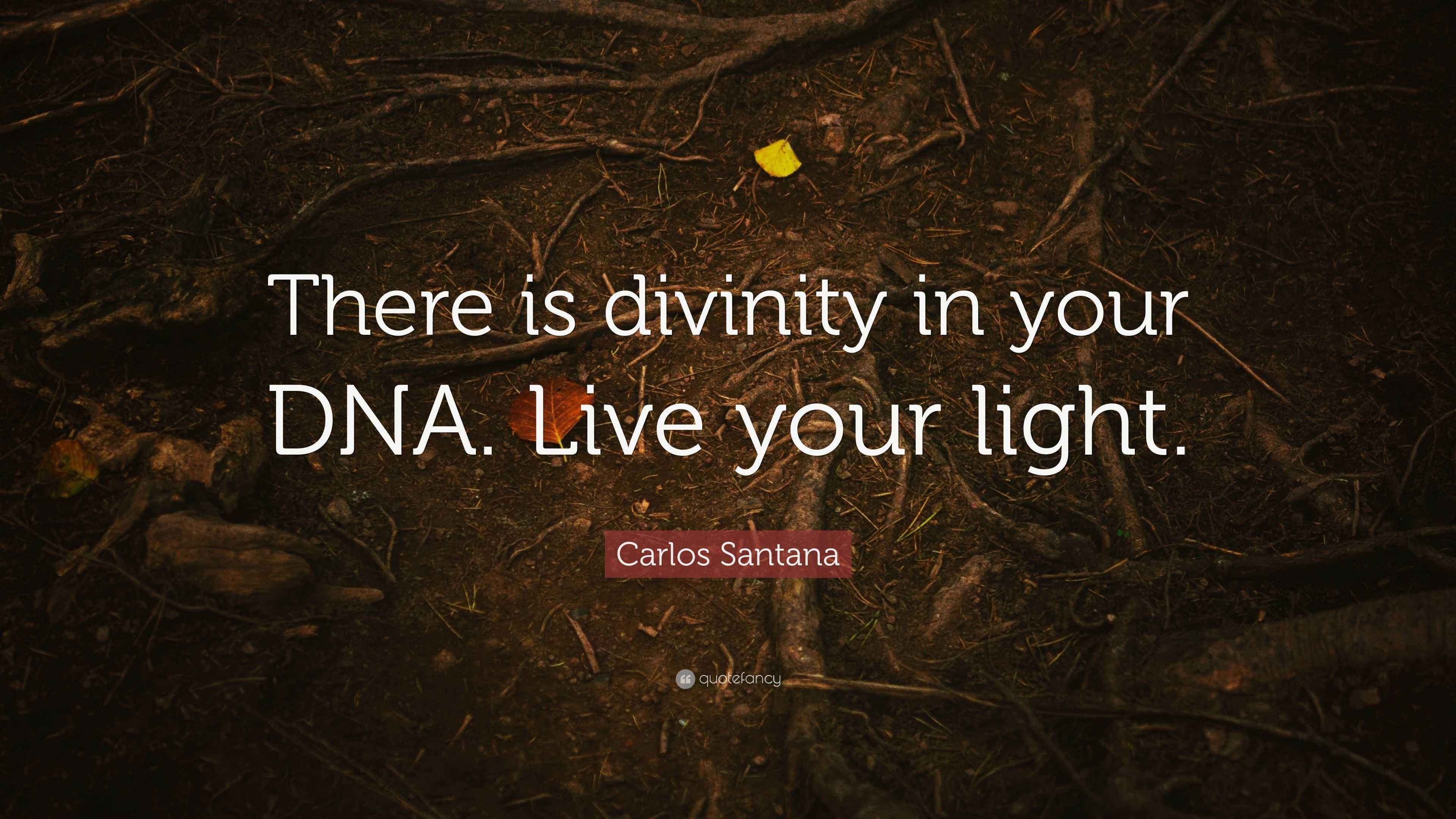 Carlos Santana Quote: “There is divinity in your DNA. Live your light.”