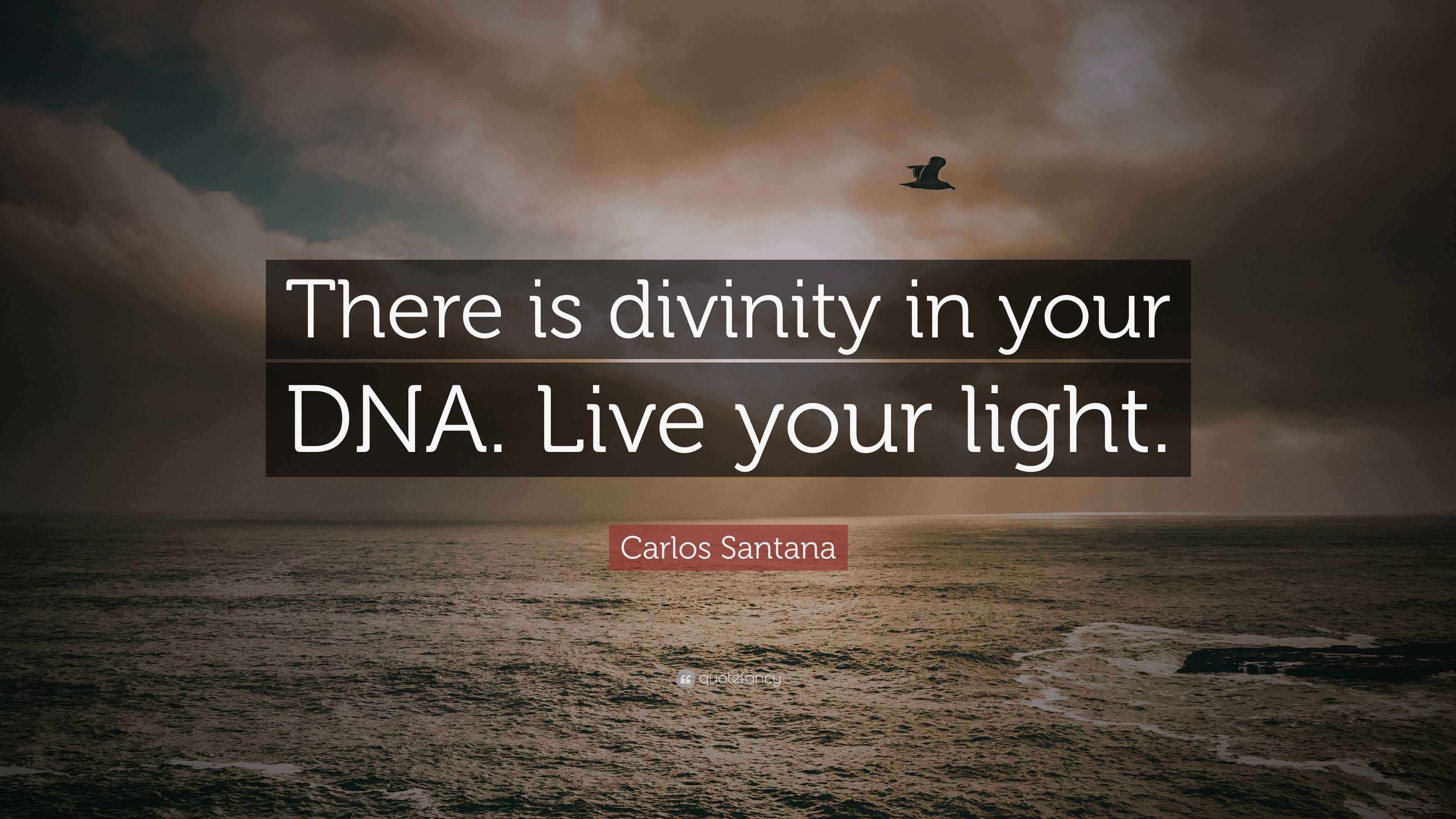 Carlos Santana Quote: “There is divinity in your DNA. Live your light.”