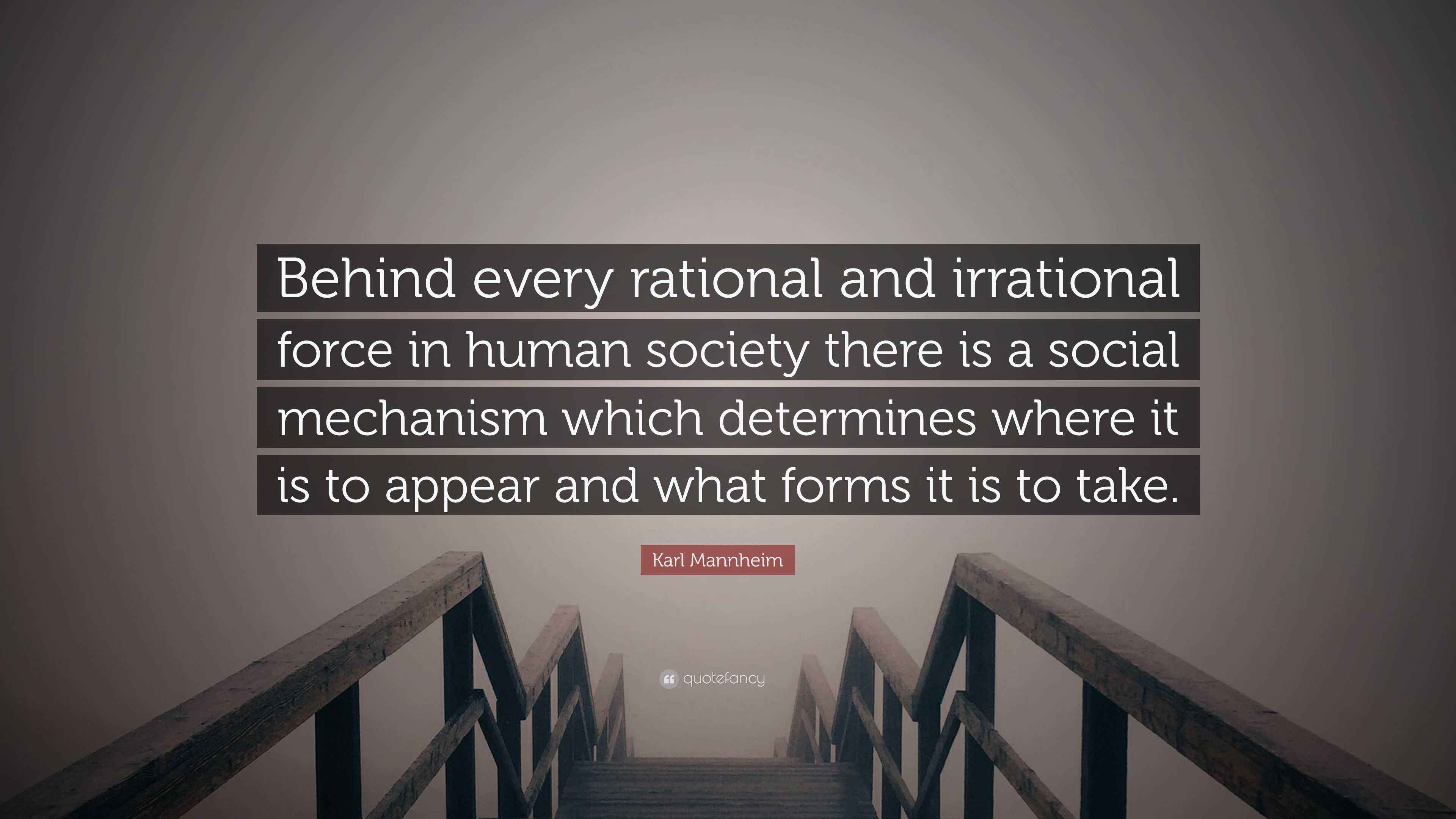 Karl Mannheim Quote: “Behind every rational and irrational force in ...