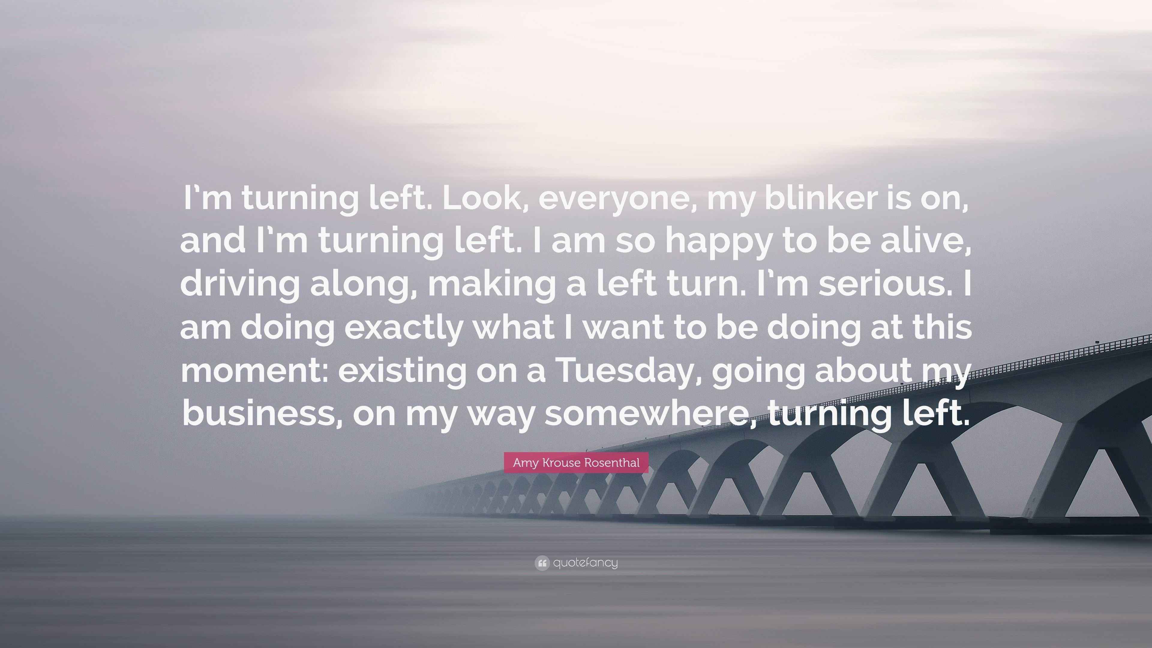 Amy Krouse Rosenthal Quote: “I’m turning left. Look, everyone, my ...