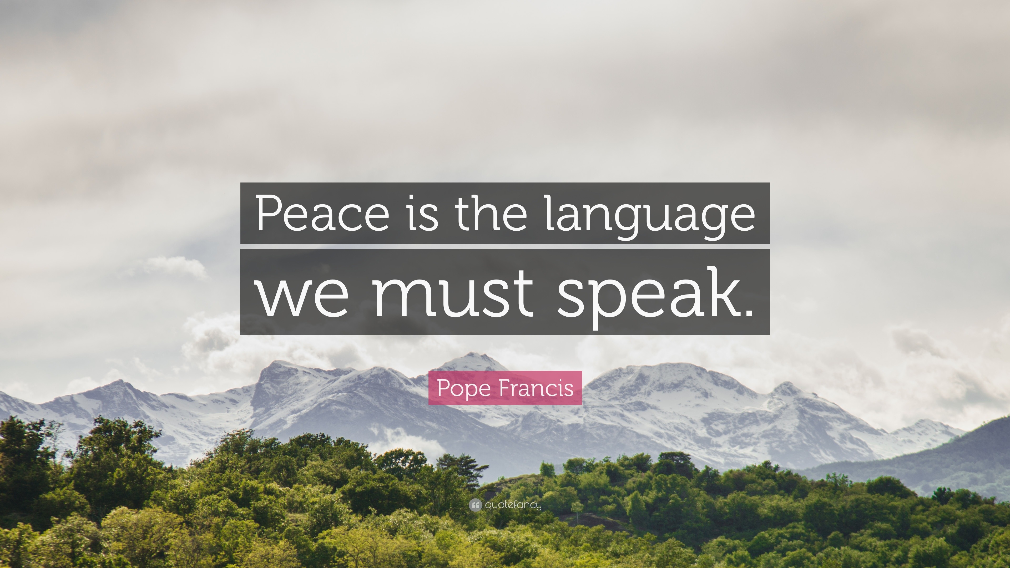 Pope Francis Quote: “Peace is the language we must speak.”