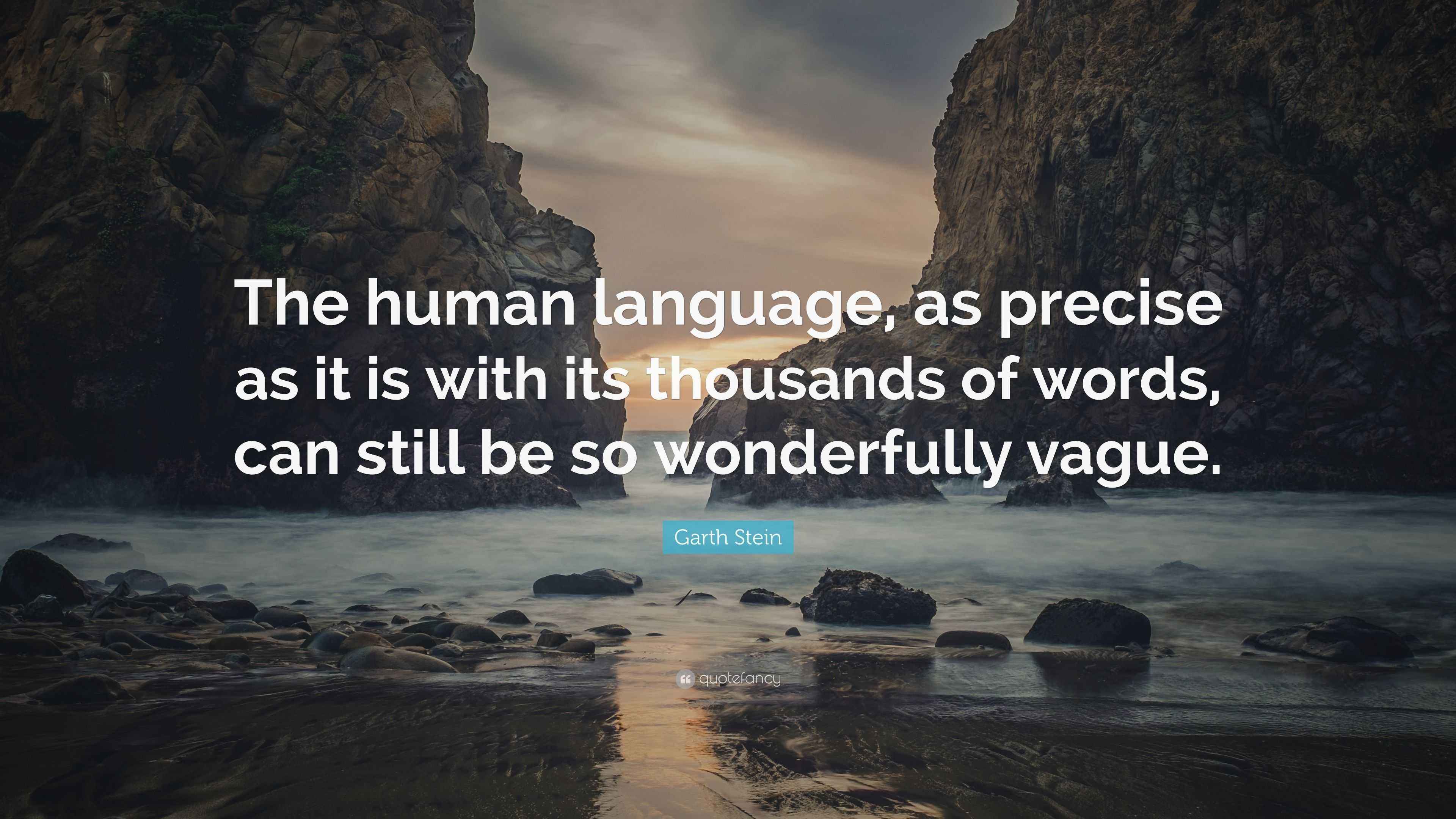Garth Stein Quote: “The human language, as precise as it is with its ...
