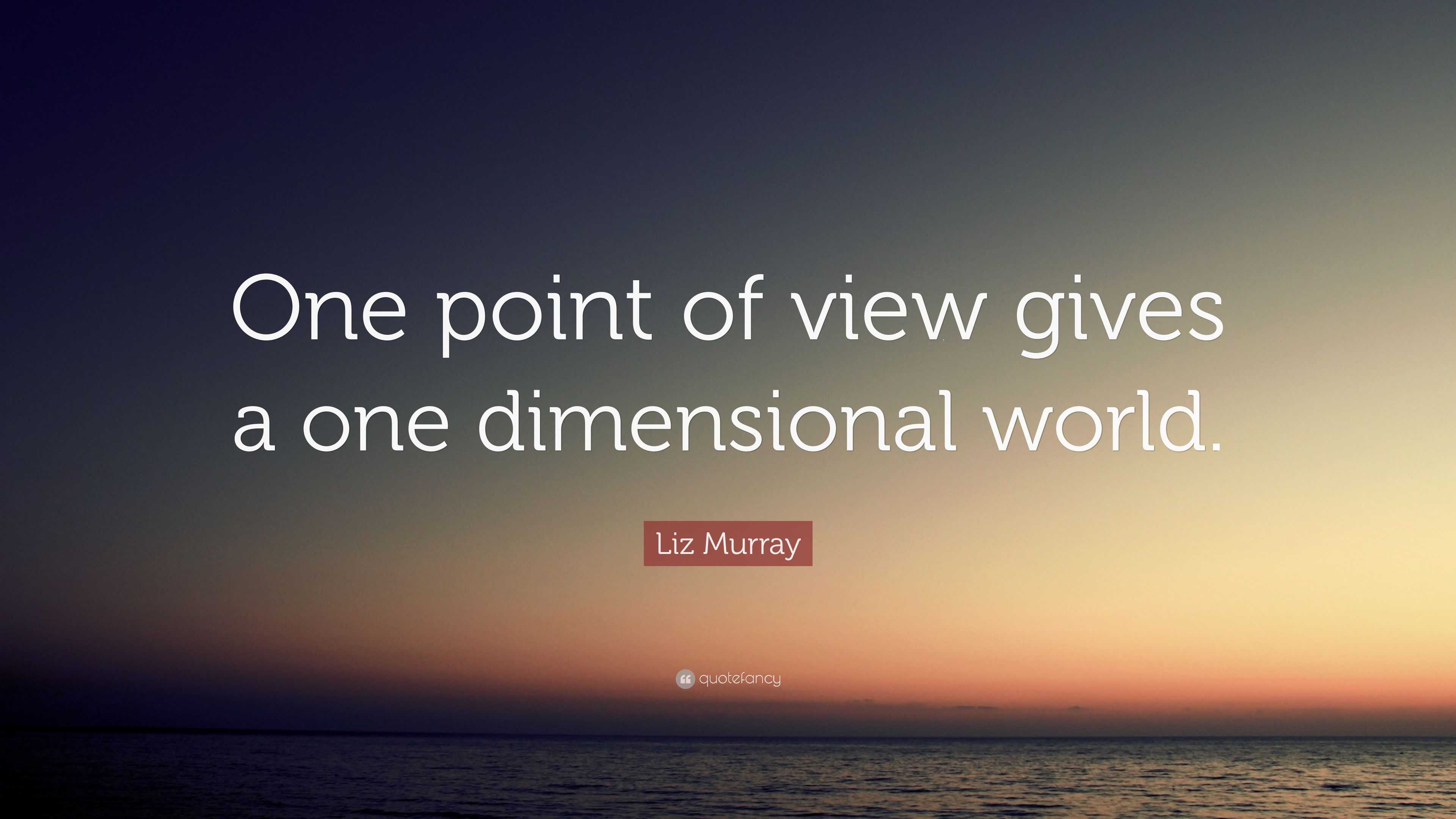 Liz Murray Quote: “One point of view gives a one dimensional world.”