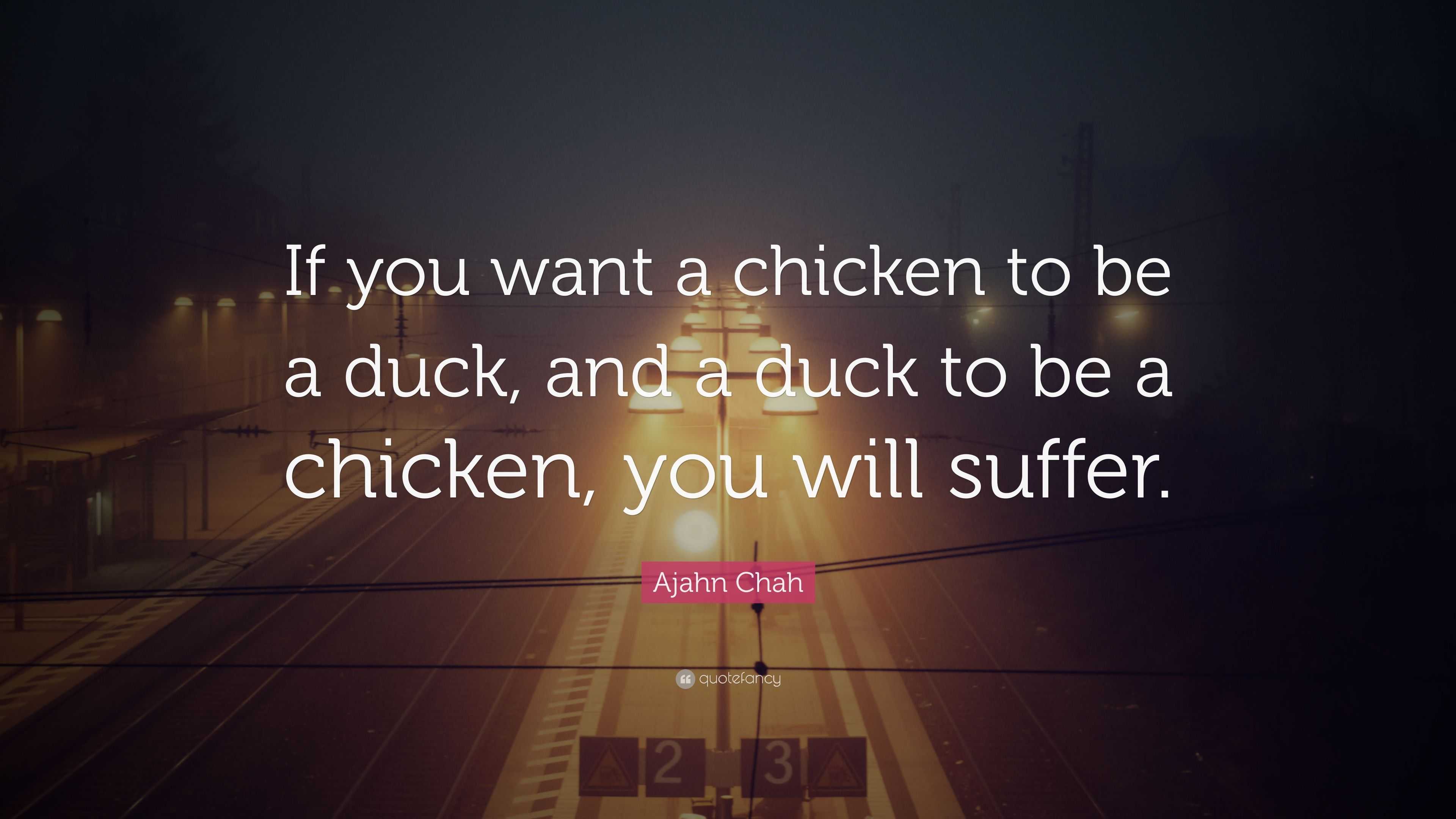 Ajahn Chah Quote: “If you want a chicken to be a duck, and a duck to be ...