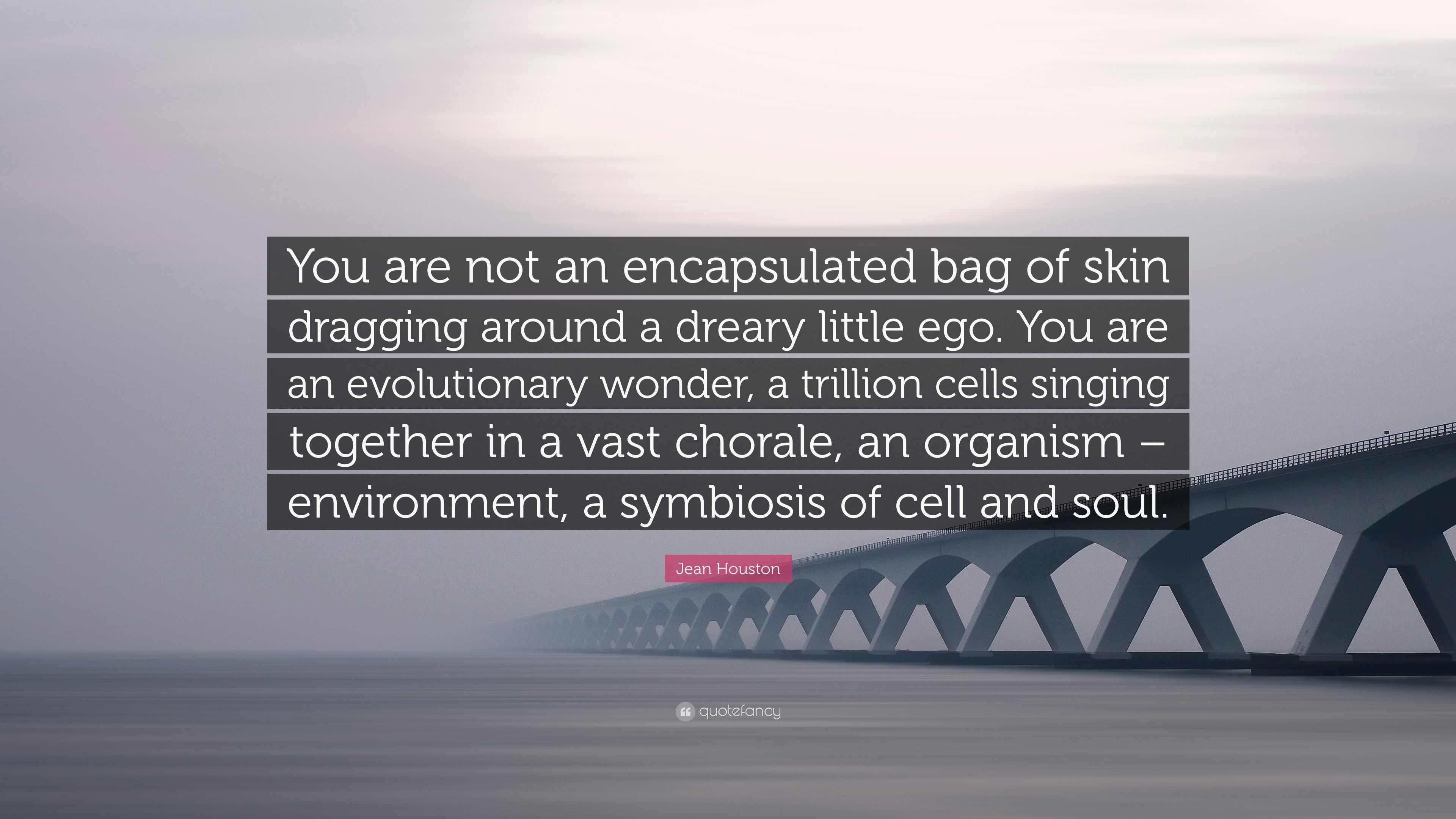 Jean Houston Quote: “You are not an encapsulated bag of skin dragging ...