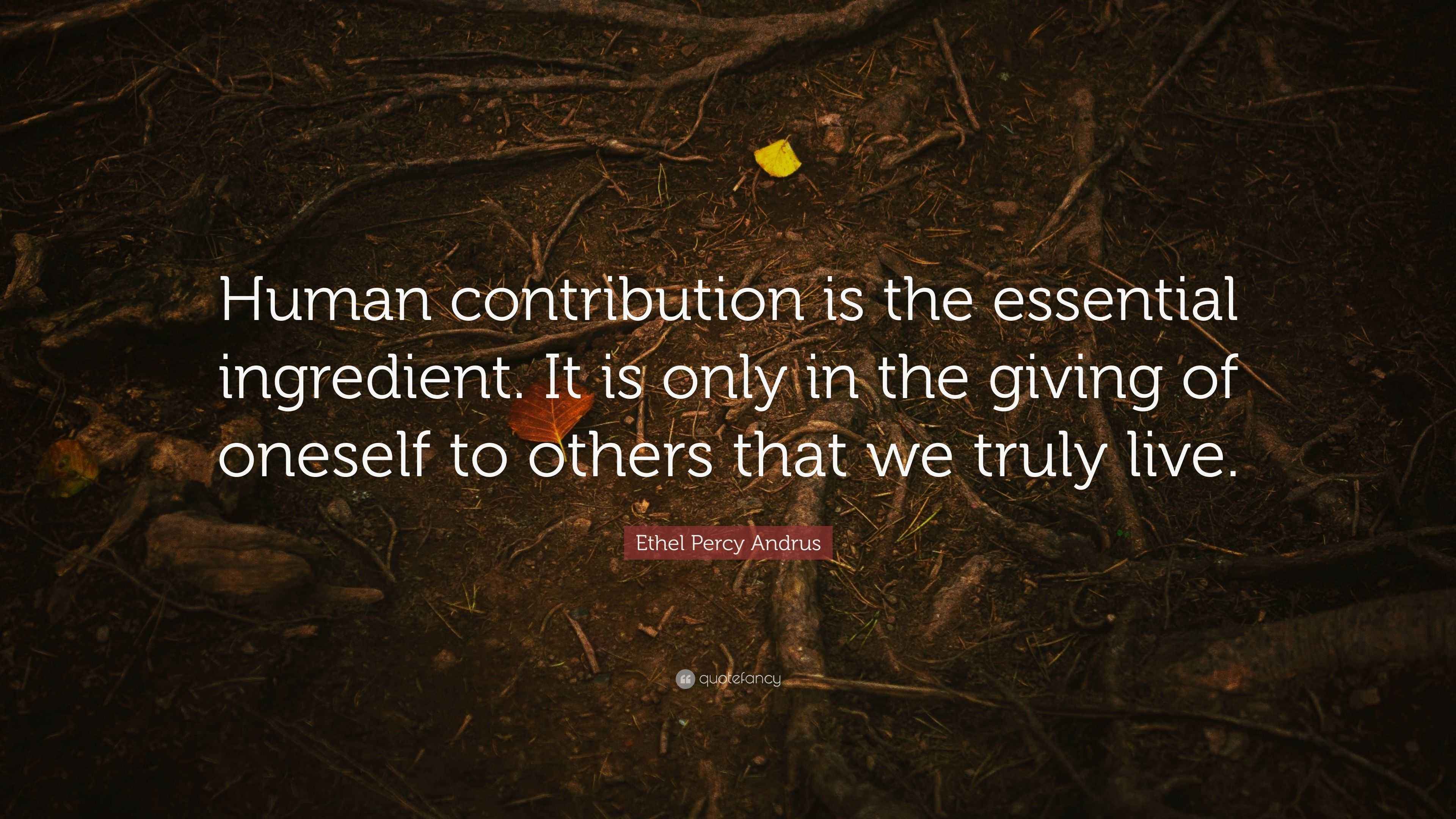 Ethel Percy Andrus Quote: “Human contribution is the essential ...