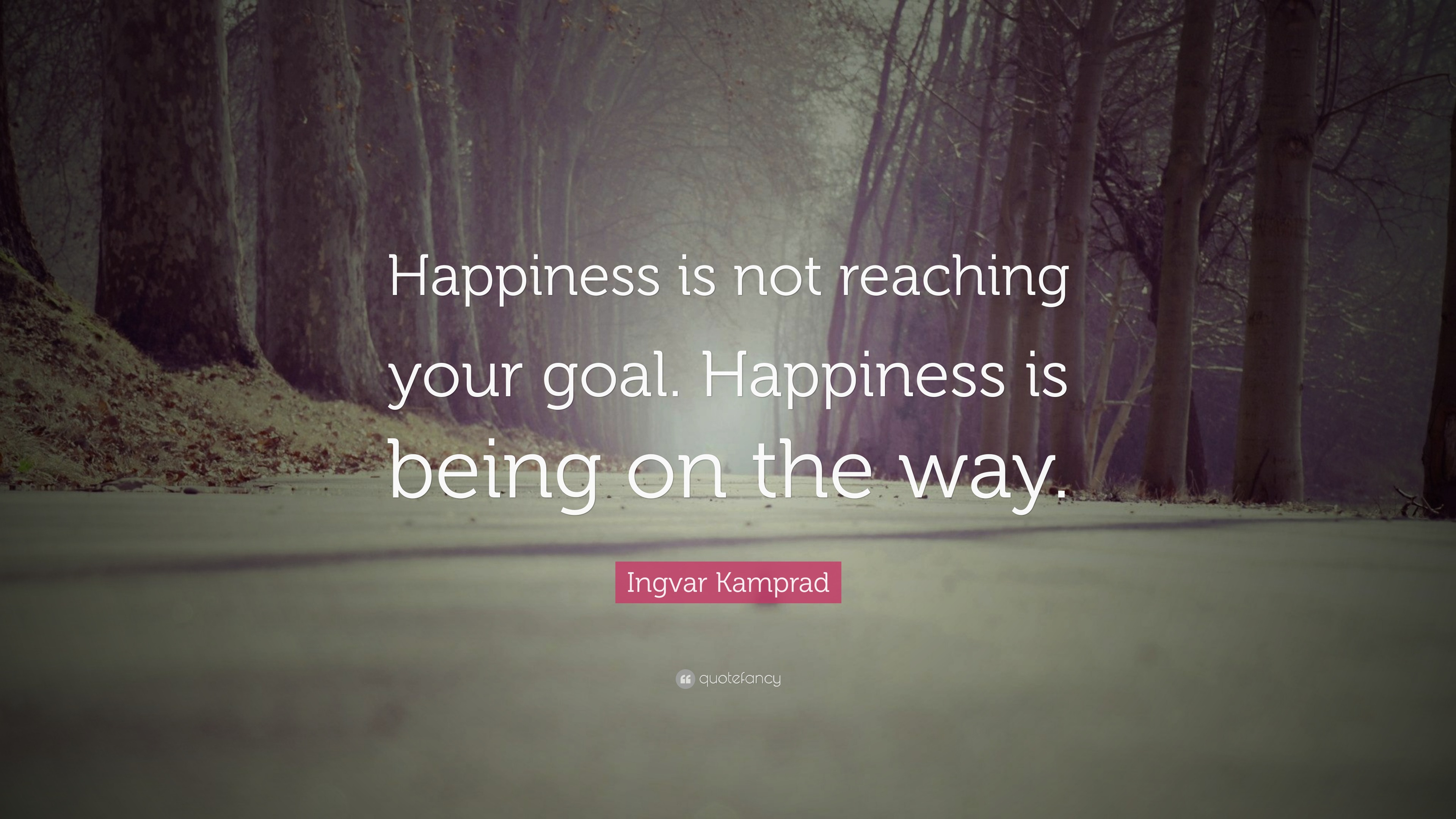 Ingvar Kamprad Quote: “Happiness is not reaching your goal. Happiness ...