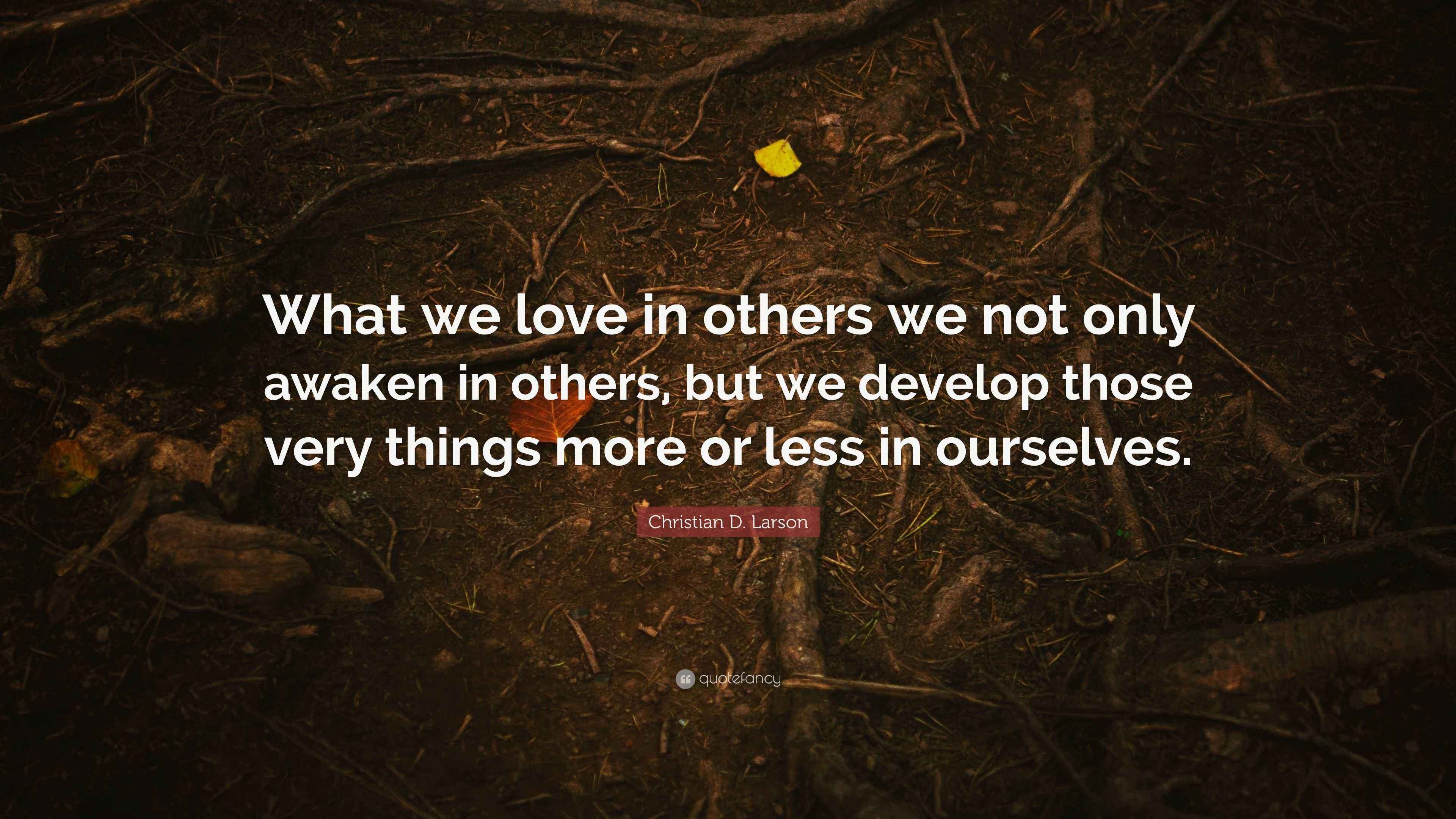 Christian D. Larson Quote: “What we love in others we not only awaken ...