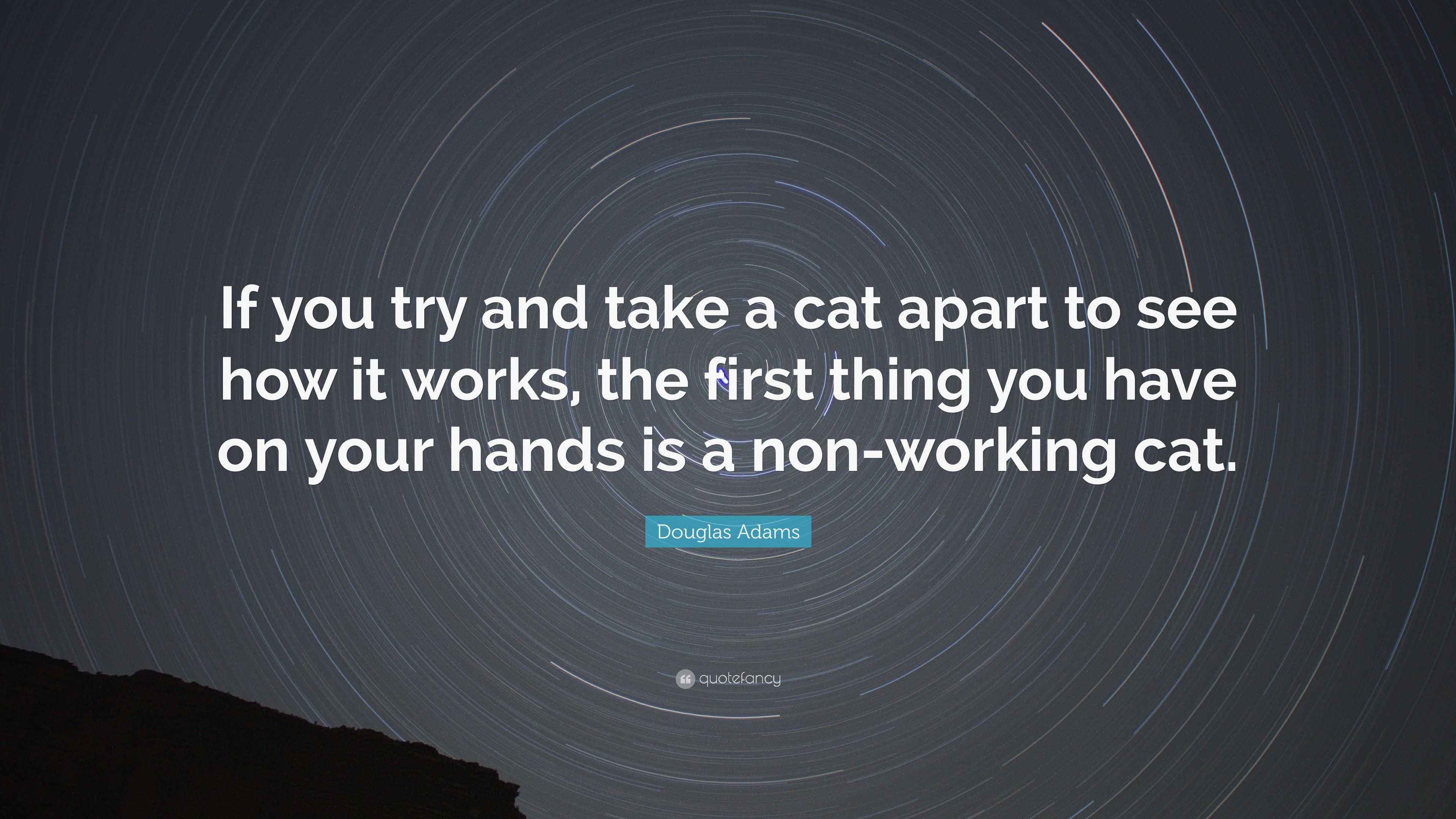 Douglas Adams Quote: “If you try and take a cat apart to see how it ...