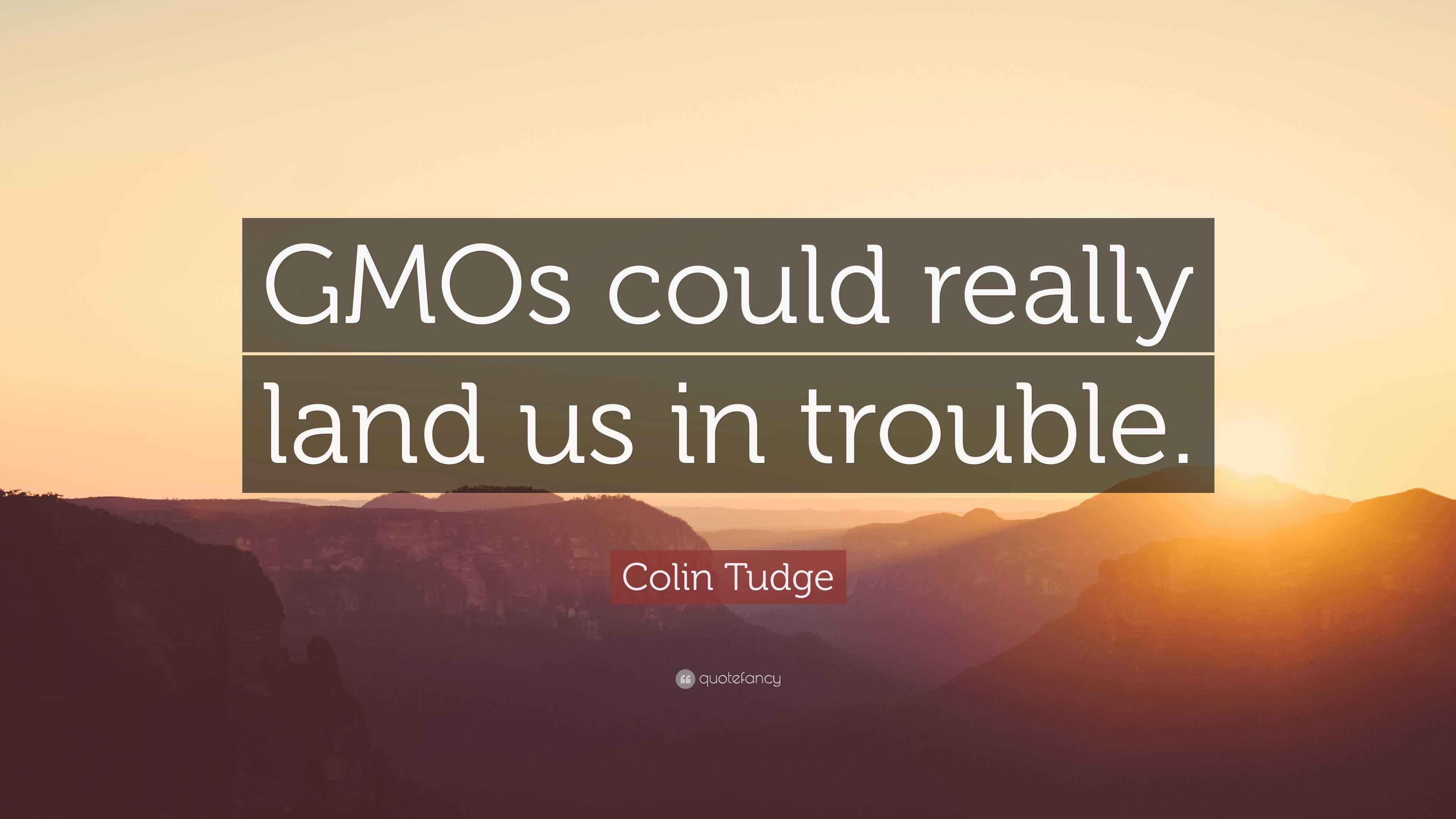 Colin Tudge Quote: “GMOs could really land us in trouble.”