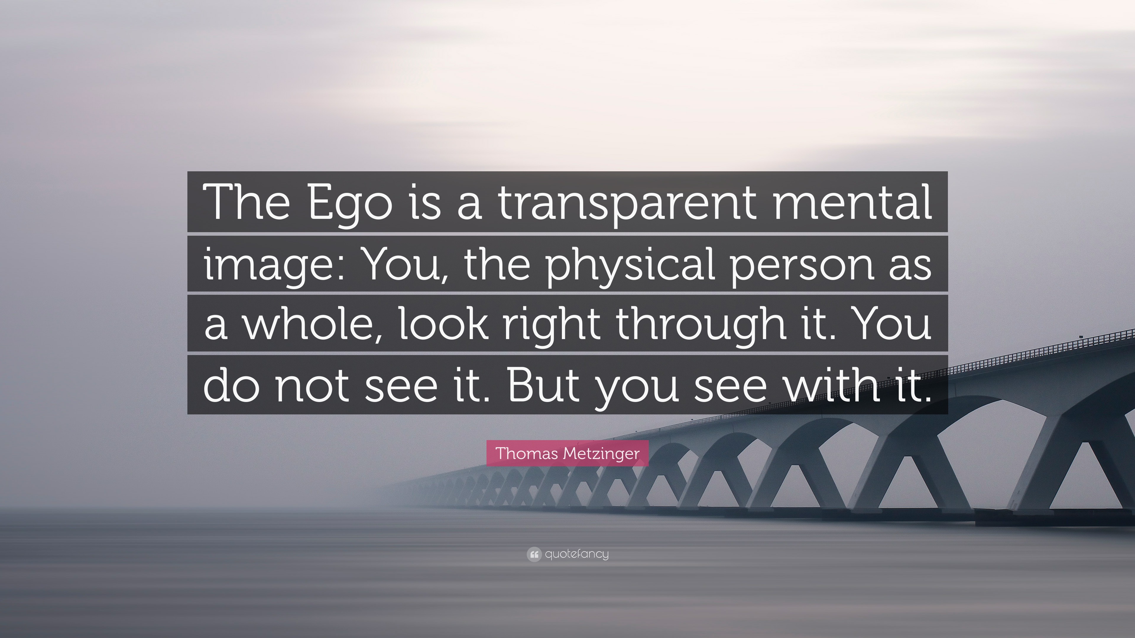 Thomas Metzinger Quote: “The Ego is a transparent mental image: You ...