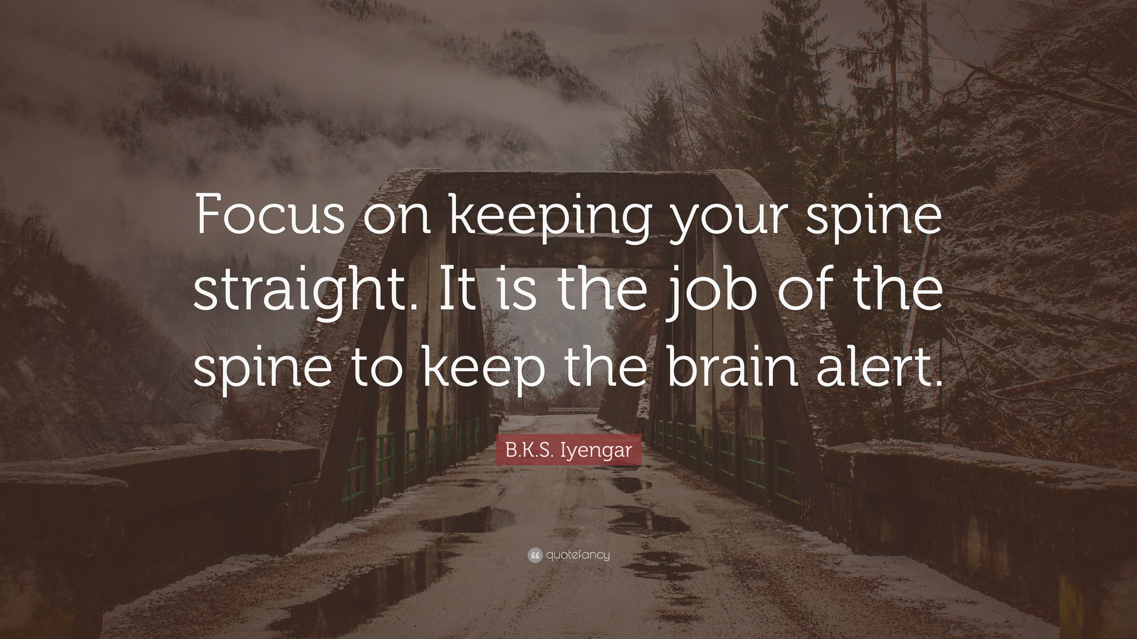 B.K.S. Iyengar Quote: “Focus on keeping your spine straight. It is the ...
