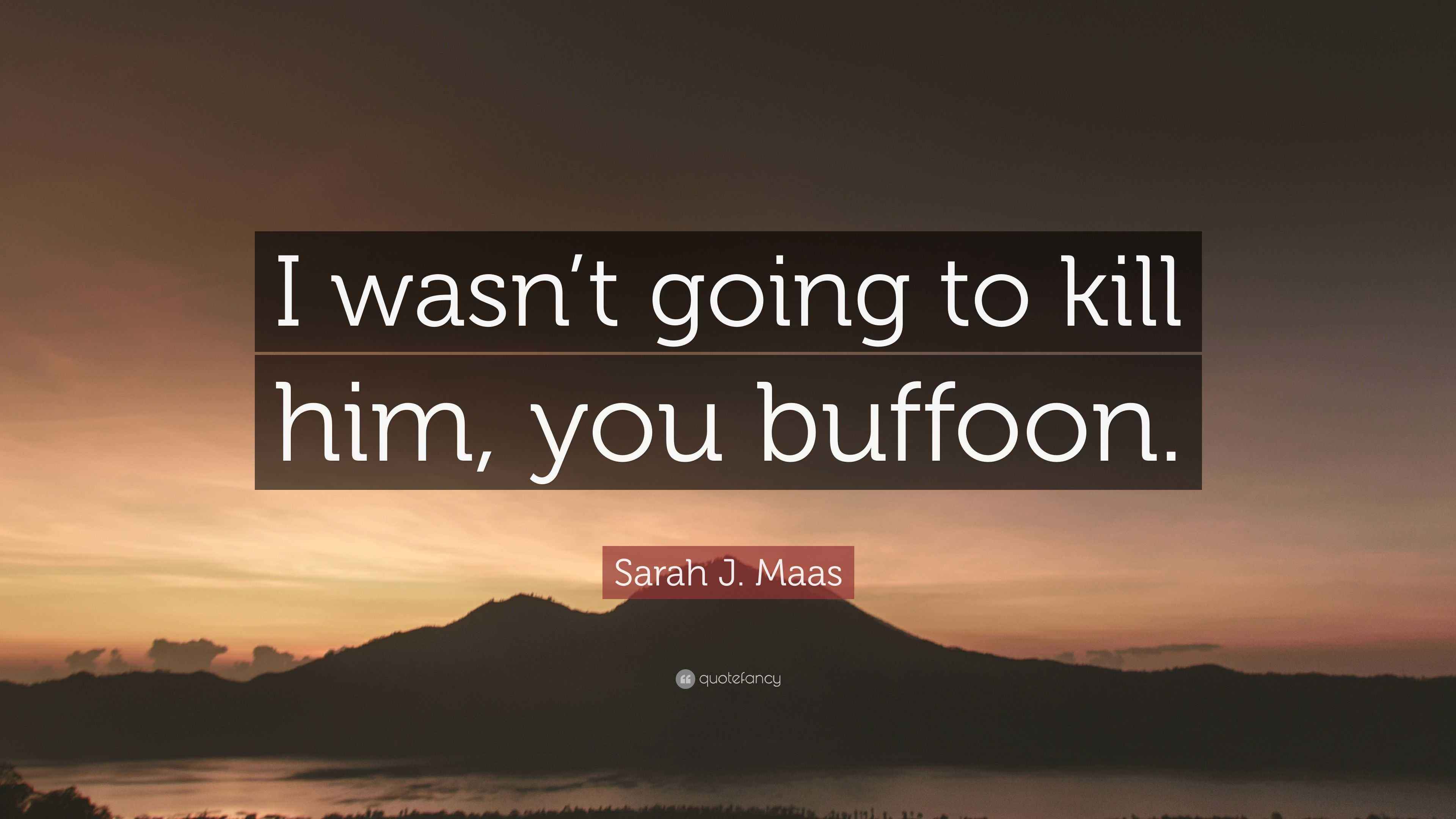 Sarah J. Maas Quote: “I wasn’t going to kill him, you buffoon.”