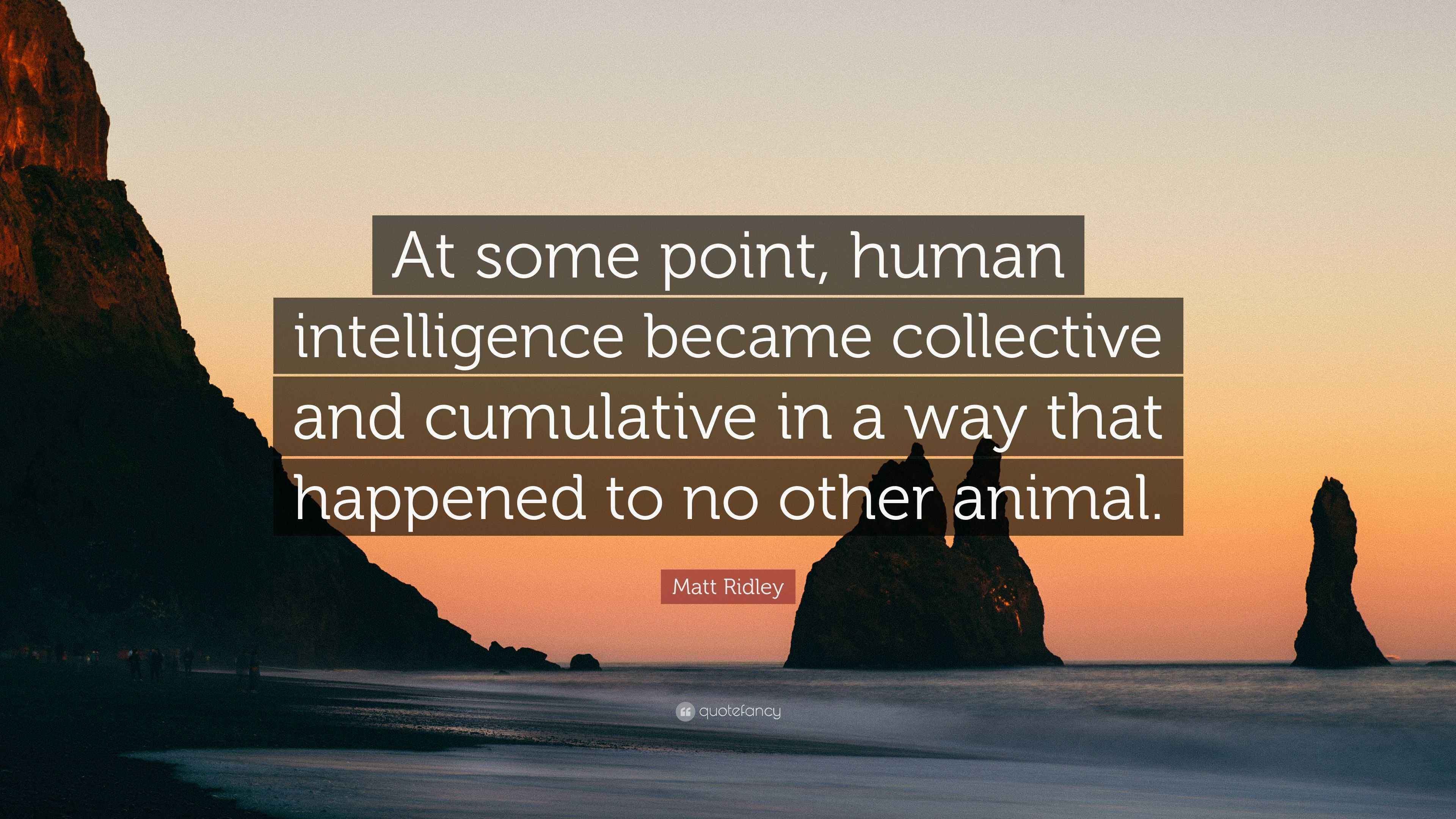 Matt Ridley Quote: “At some point, human intelligence became collective ...