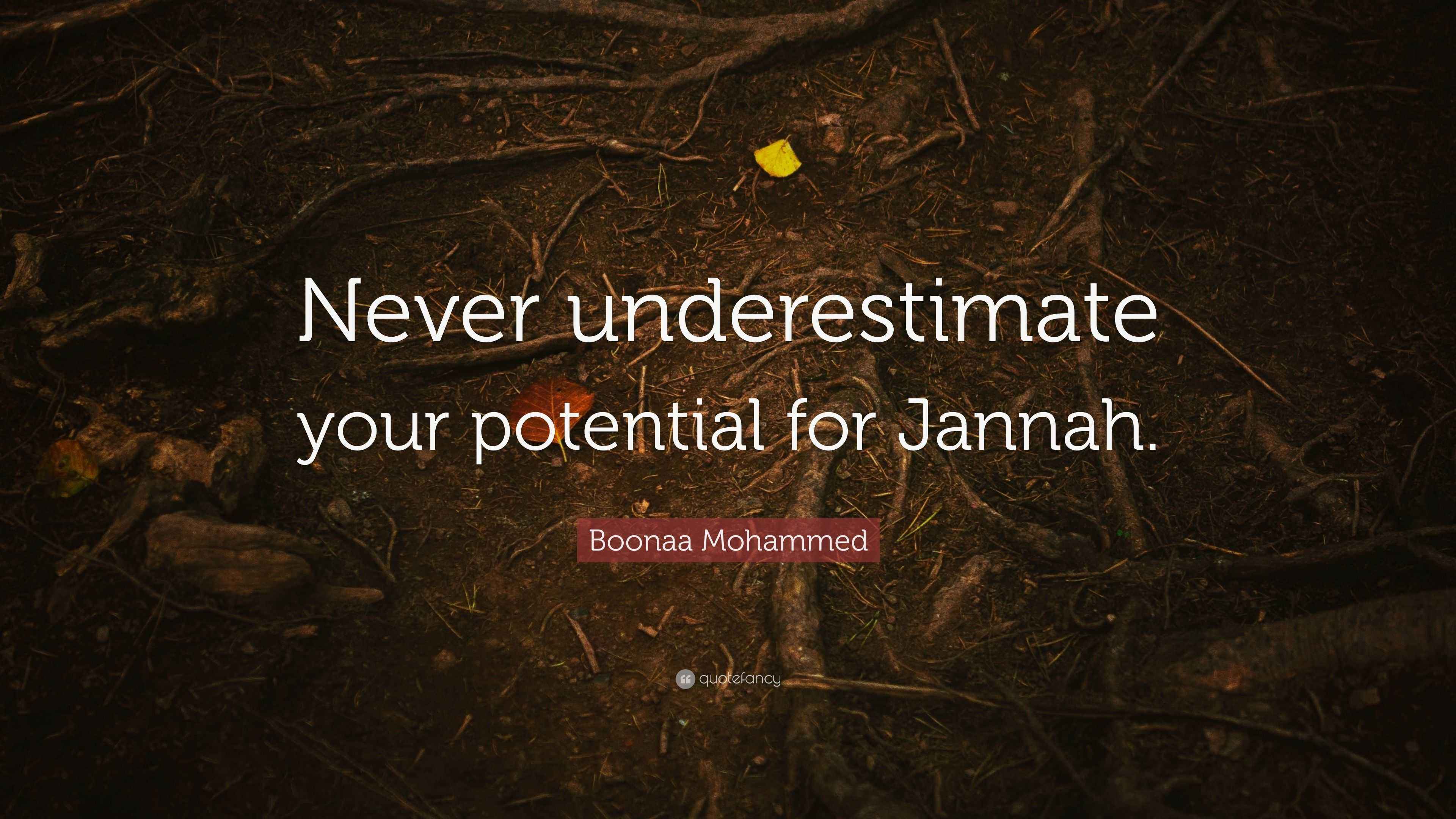 Boonaa Mohammed Quote: “Never underestimate your potential for Jannah.”