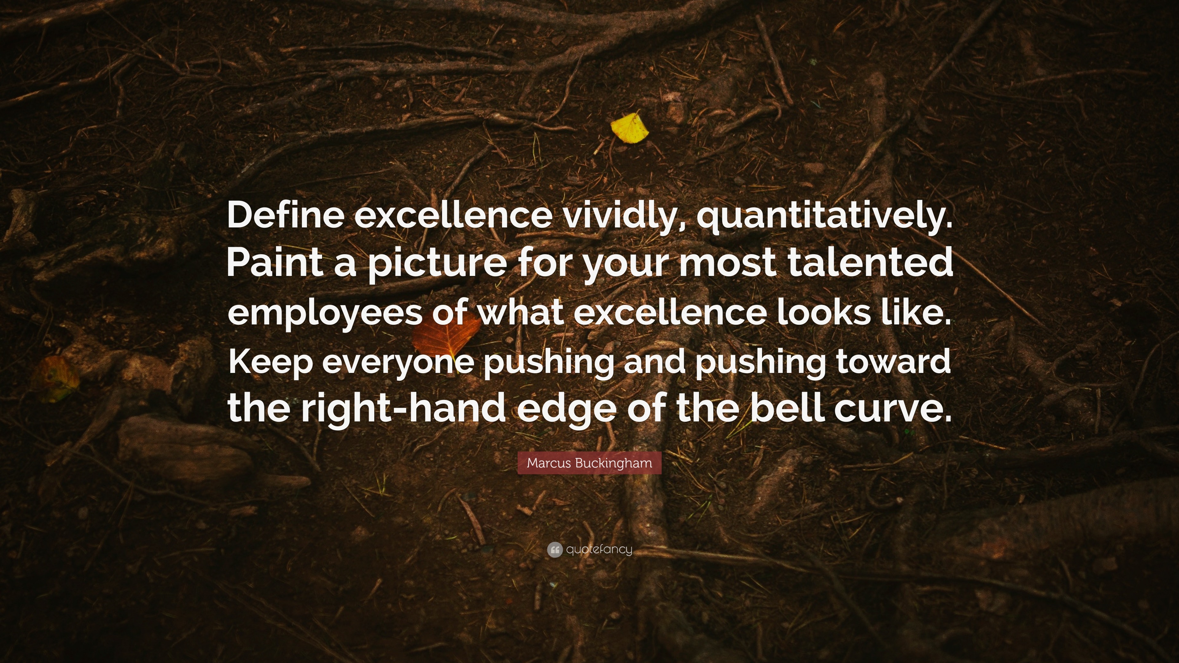 Marcus Buckingham Quote: “Define excellence vividly, quantitatively ...