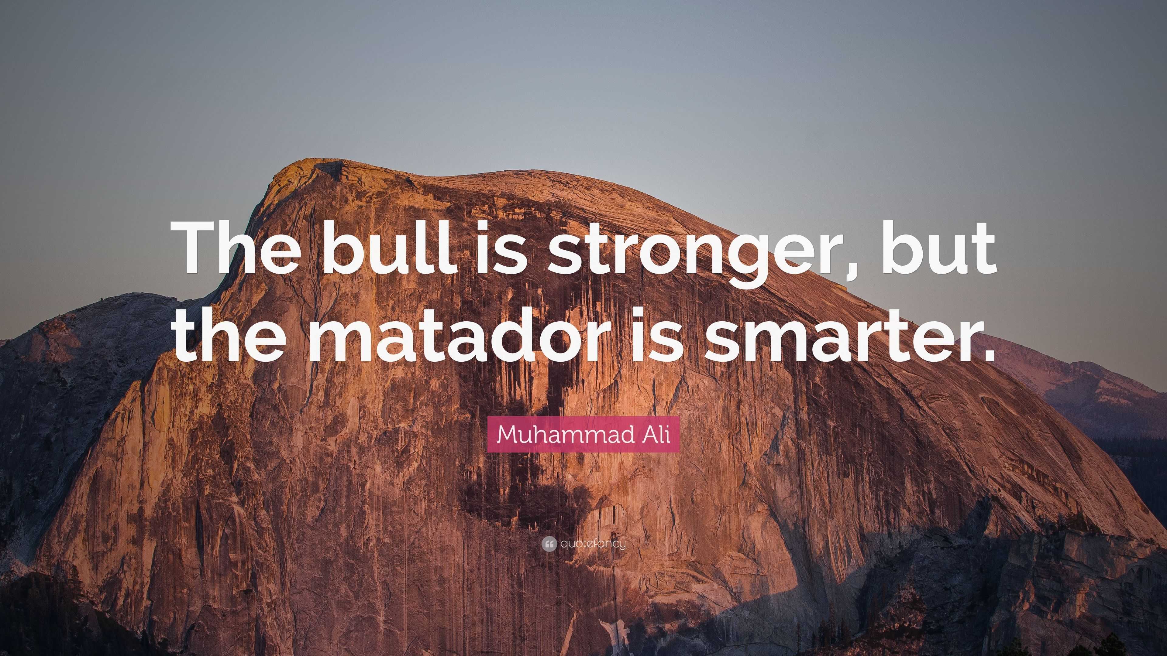 Muhammad Ali Quote: “The bull is stronger, but the matador is smarter.”