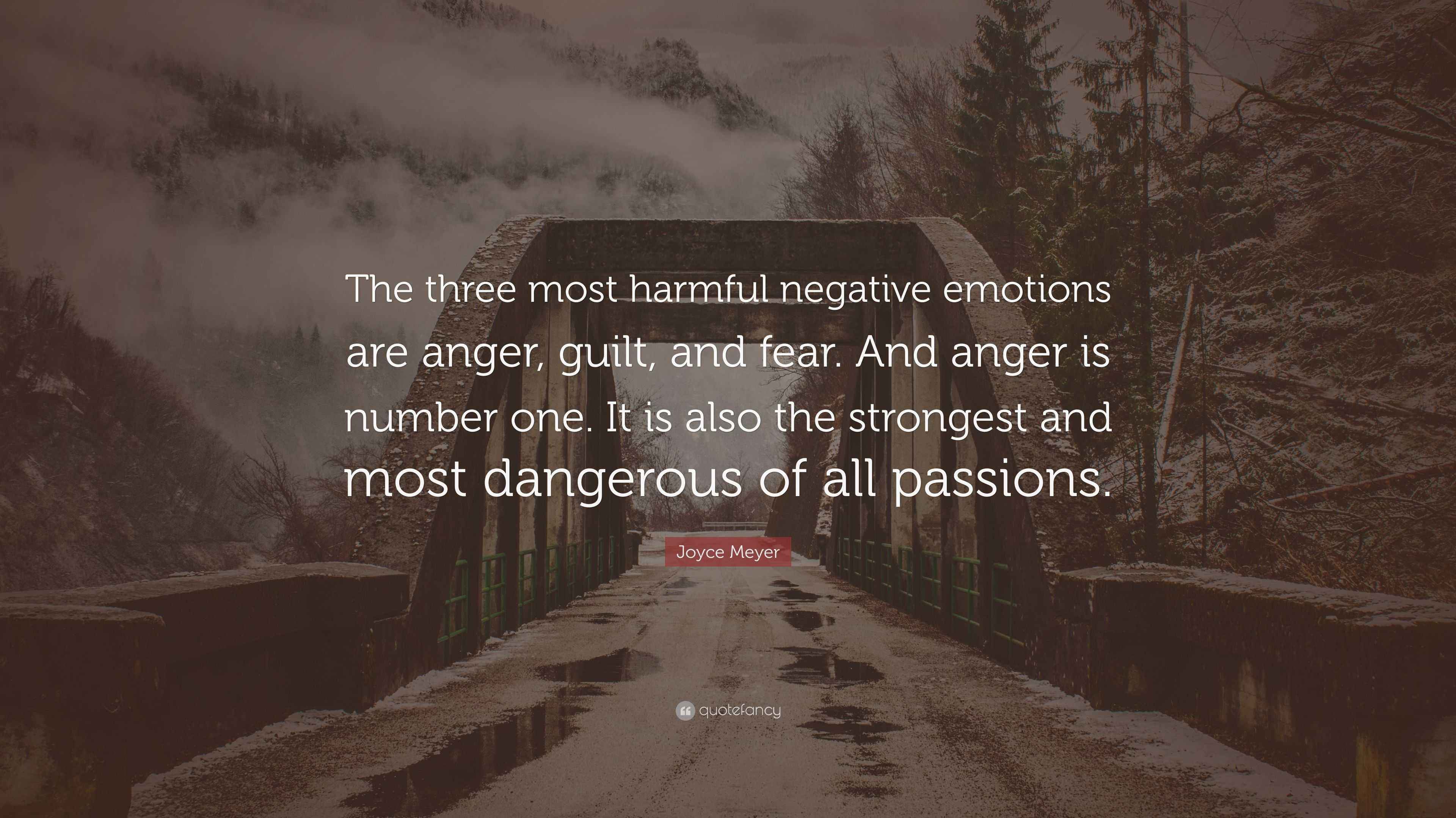 Joyce Meyer Quote: “The three most harmful negative emotions are anger ...