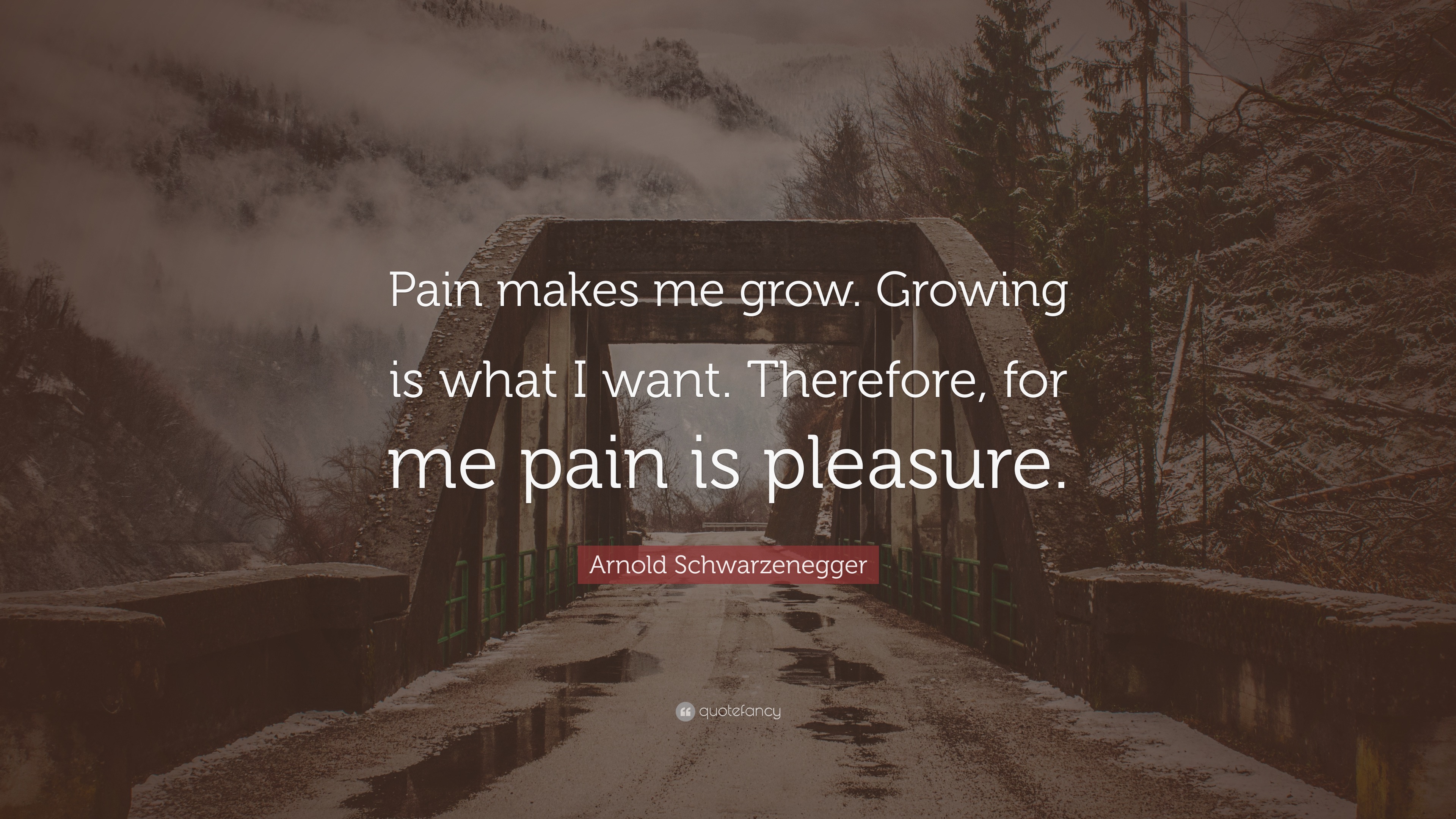 Arnold Schwarzenegger Quote: “Pain makes me grow. Growing is what I ...