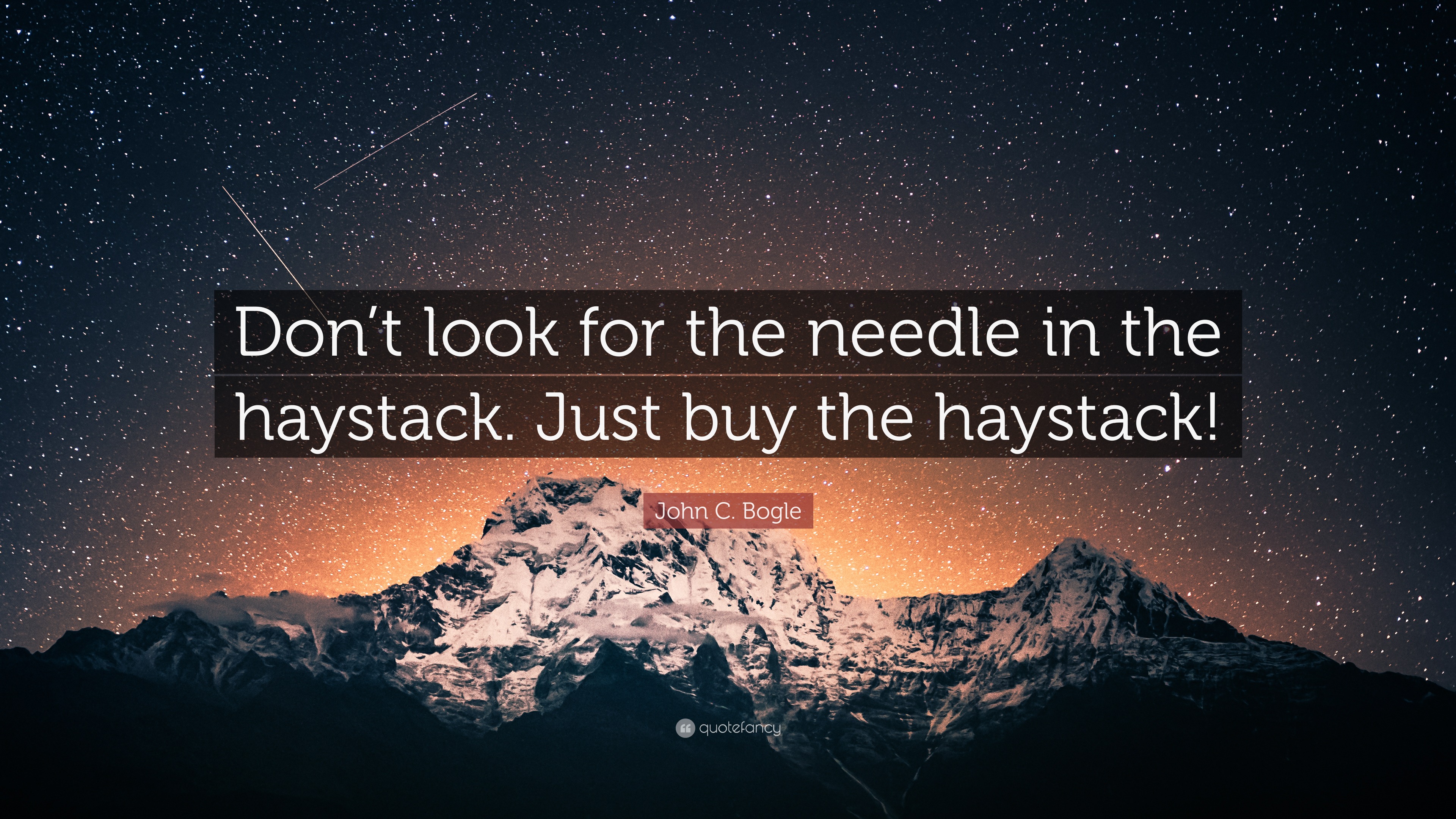 John C. Bogle Quote: “Don’t look for the needle in the haystack. Just ...