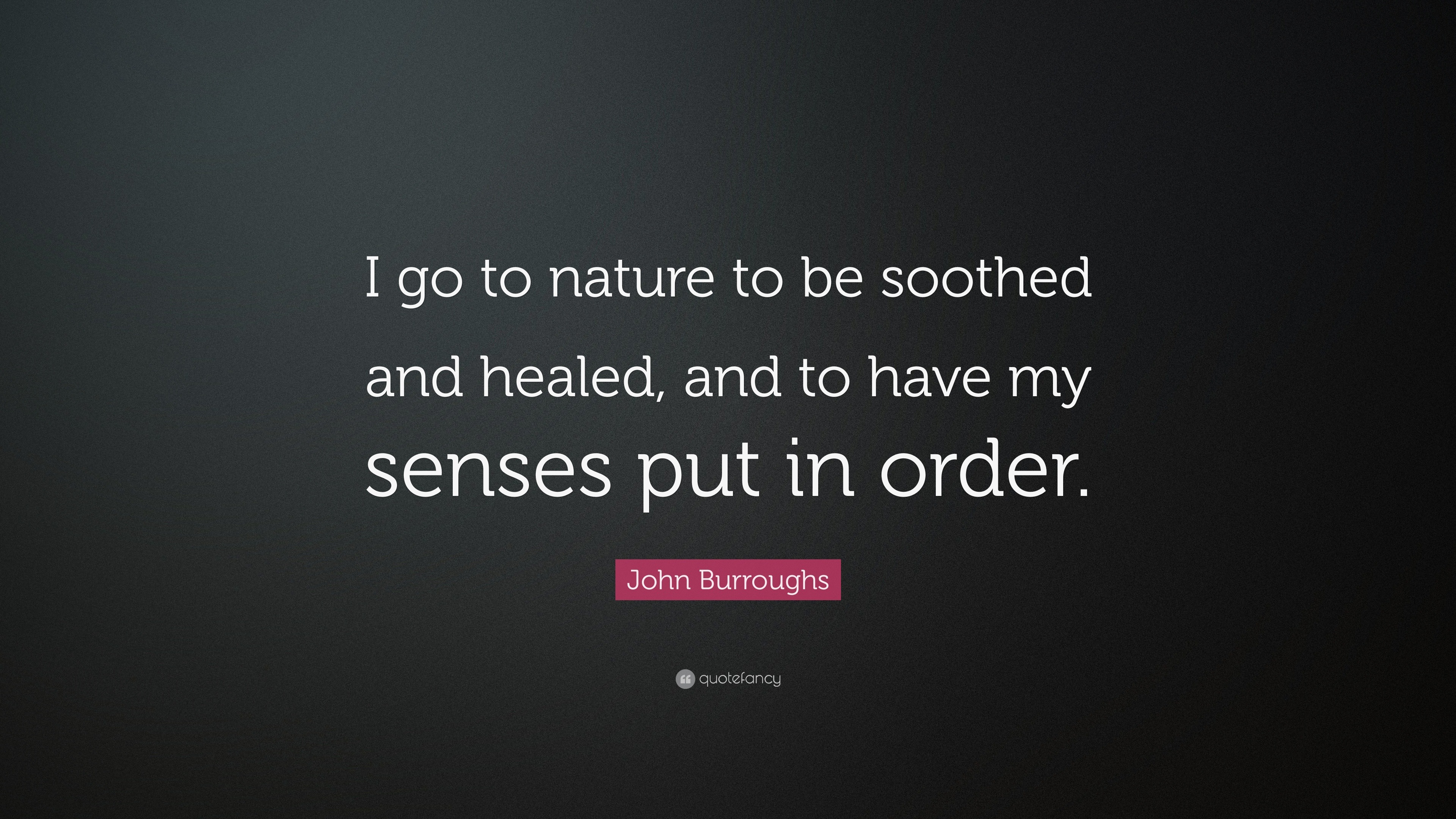 John Burroughs Quote: “I go to nature to be soothed and healed, and to ...