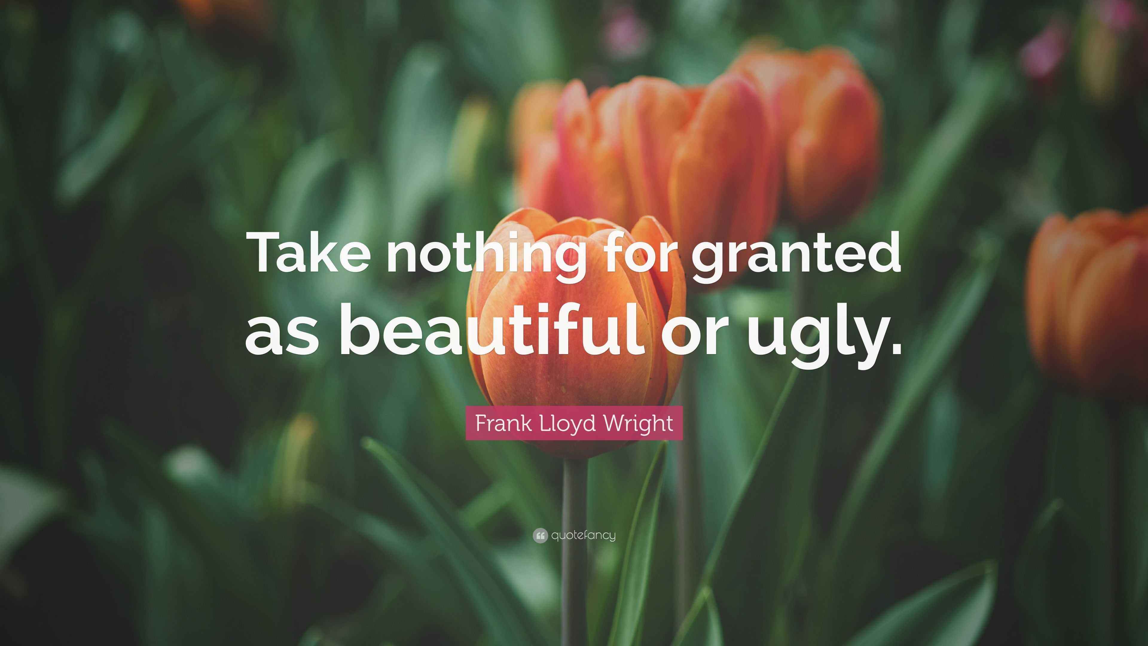 Frank Lloyd Wright Quote: “Take nothing for granted as beautiful or ugly.”