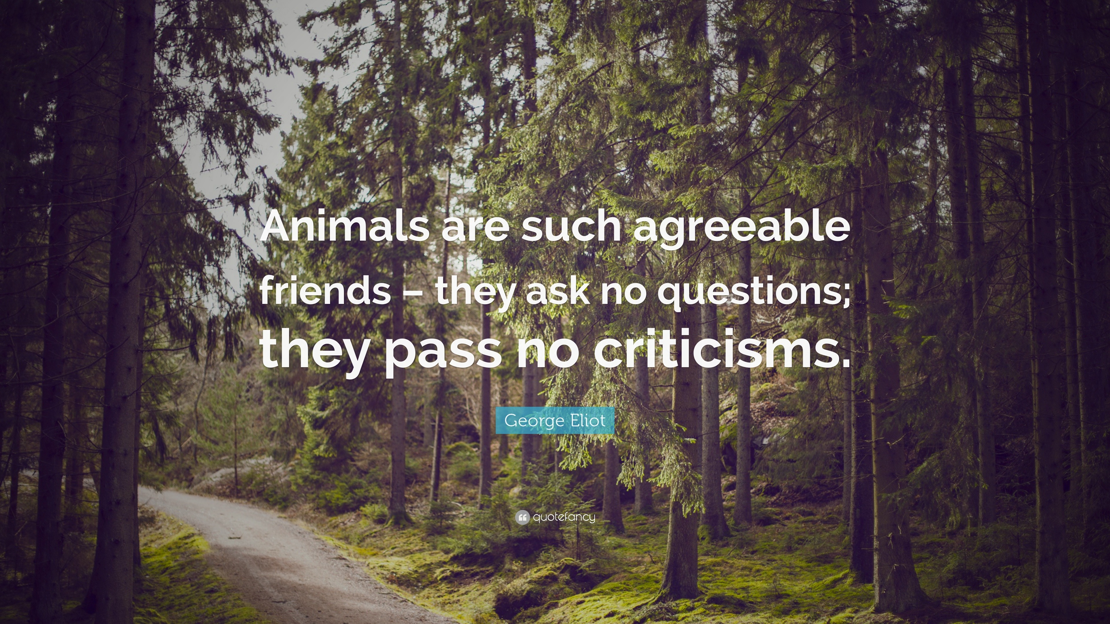 George Eliot Quote: “Animals are such agreeable friends – they ask no ...