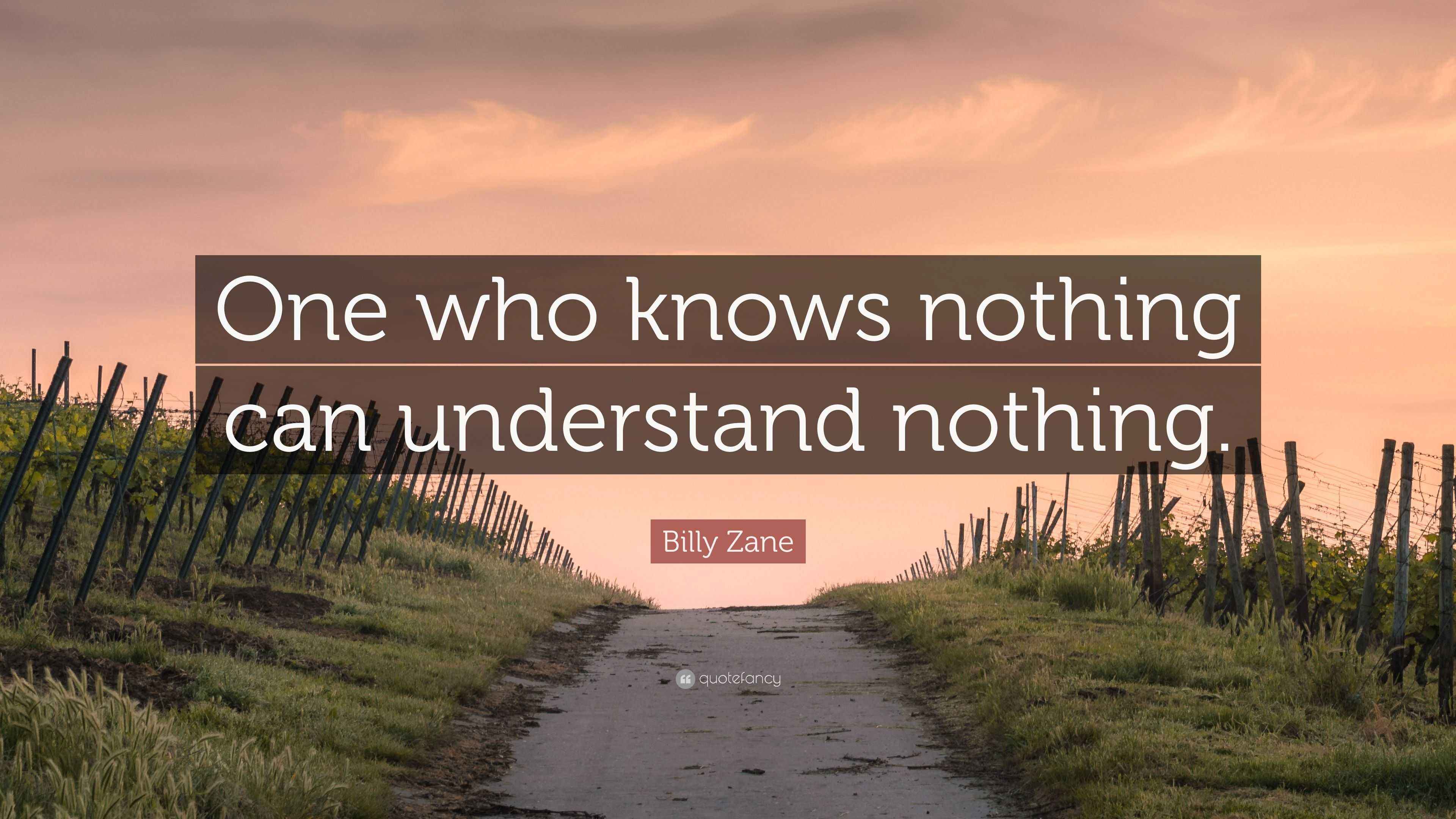 Billy Zane Quote: “One who knows nothing can understand nothing.”