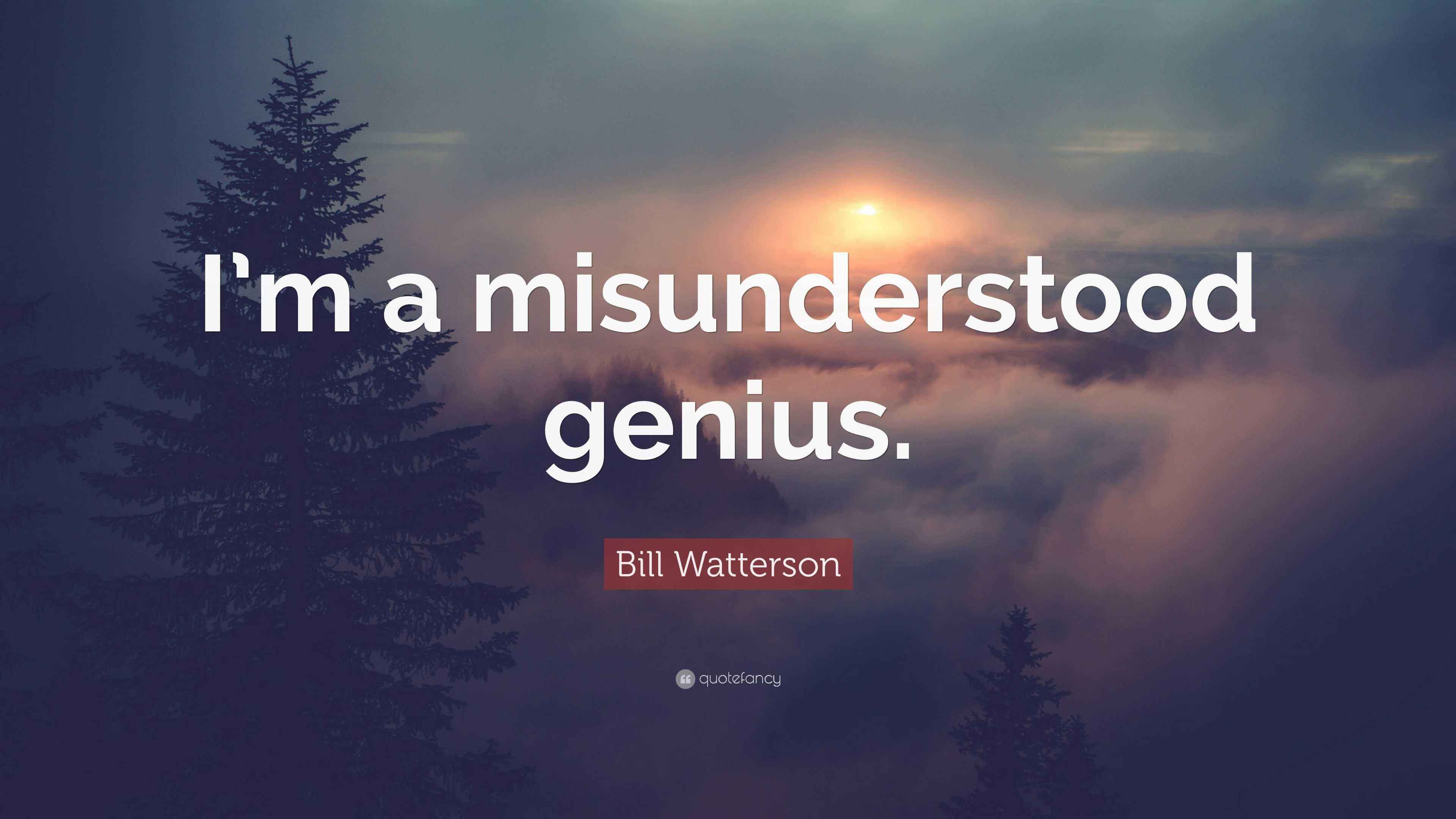 Bill Watterson Quote: “I’m a misunderstood genius.”