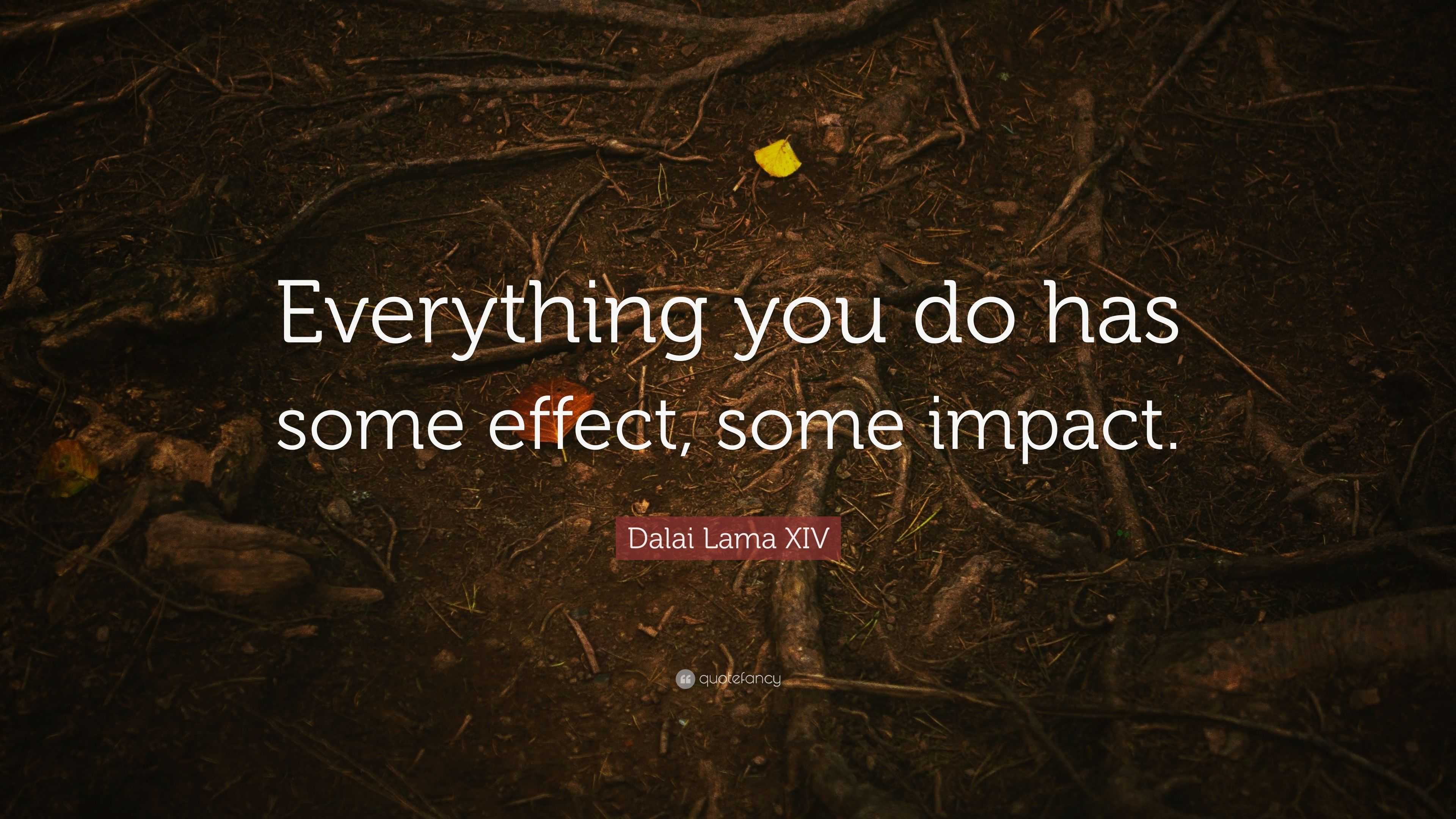 Dalai Lama XIV Quote: “Everything you do has some effect, some impact.”