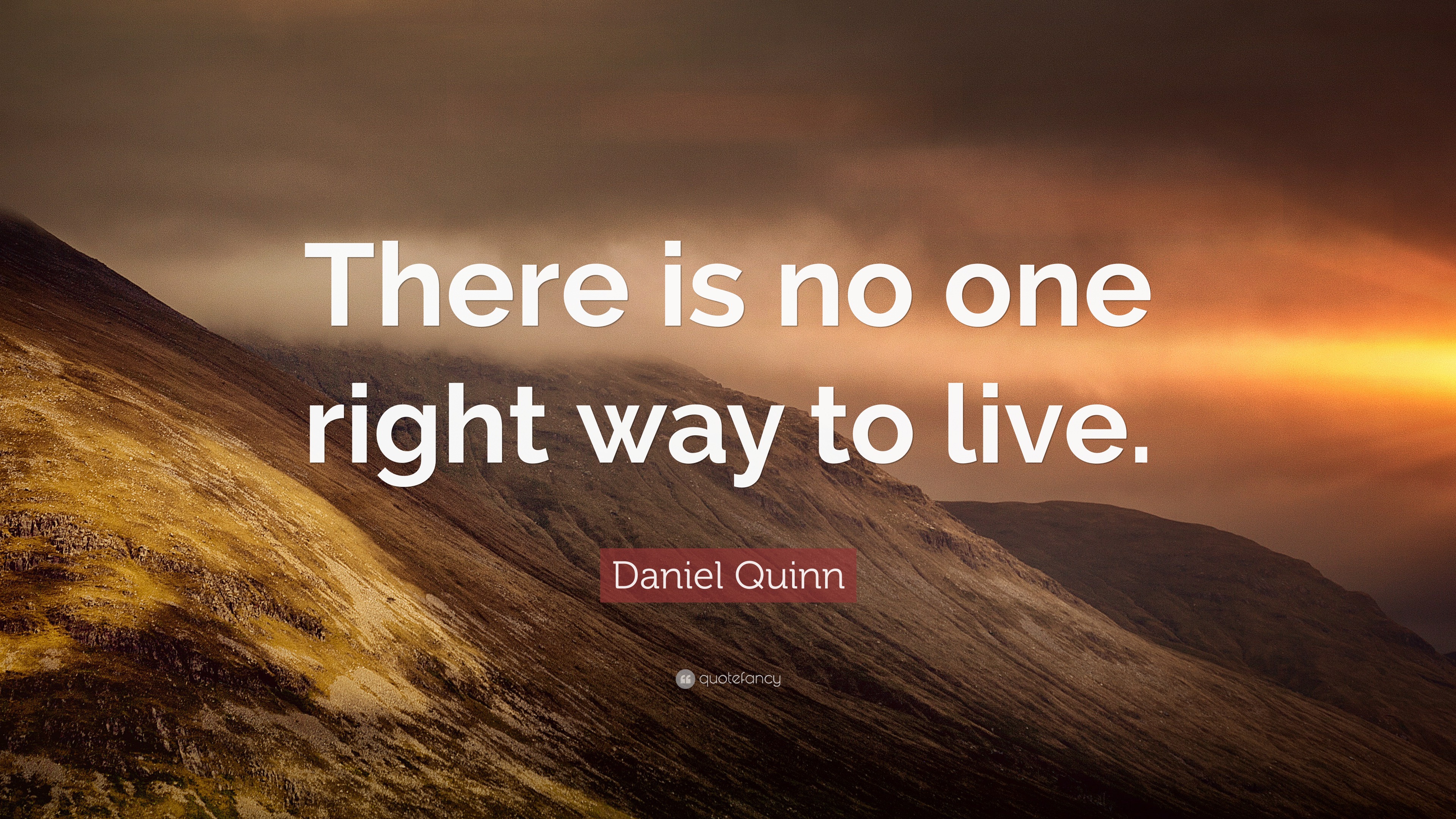 Daniel Quinn Quote: “There is no one right way to live.”
