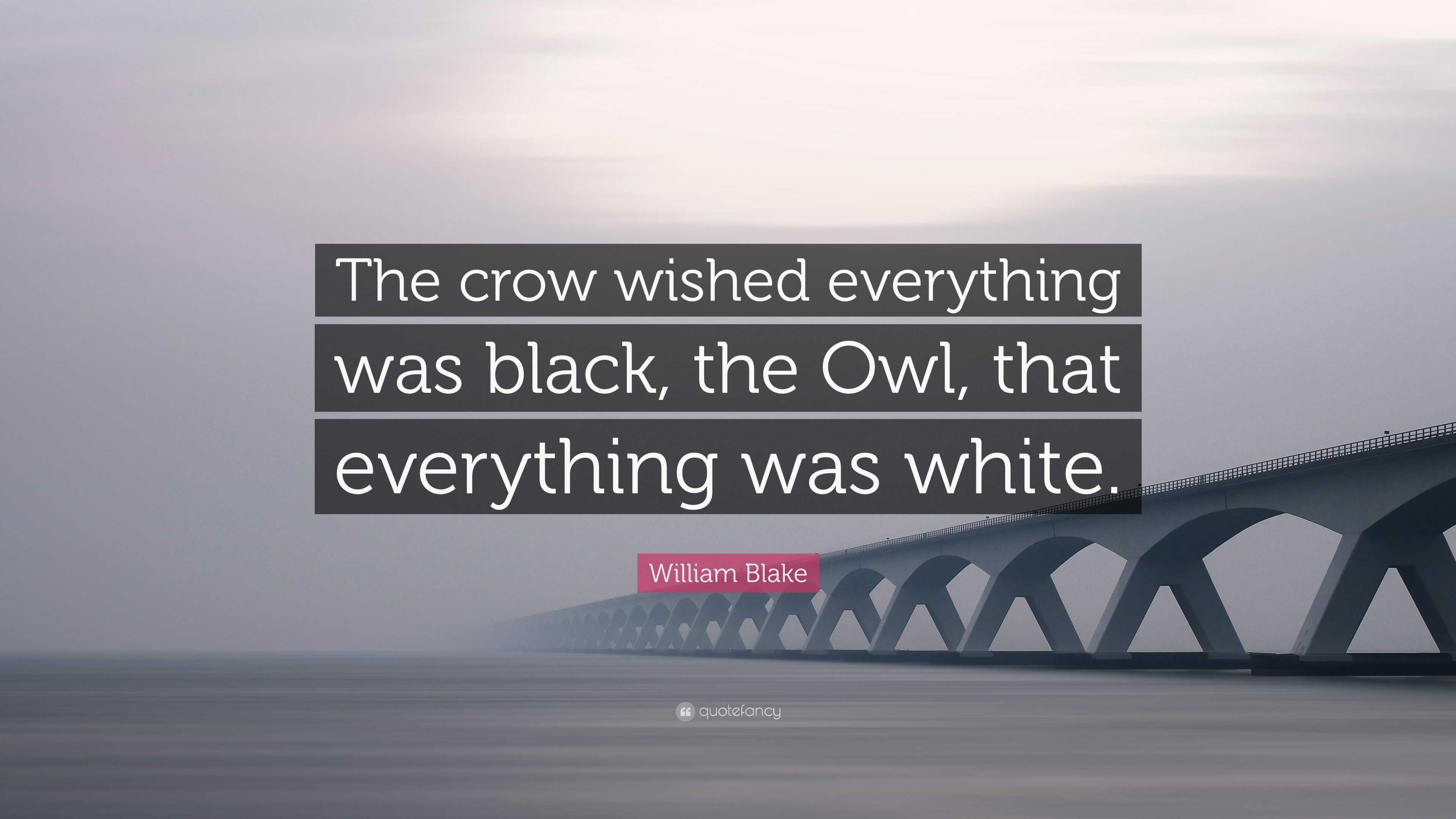 William Blake Quote: “The crow wished everything was black, the Owl ...