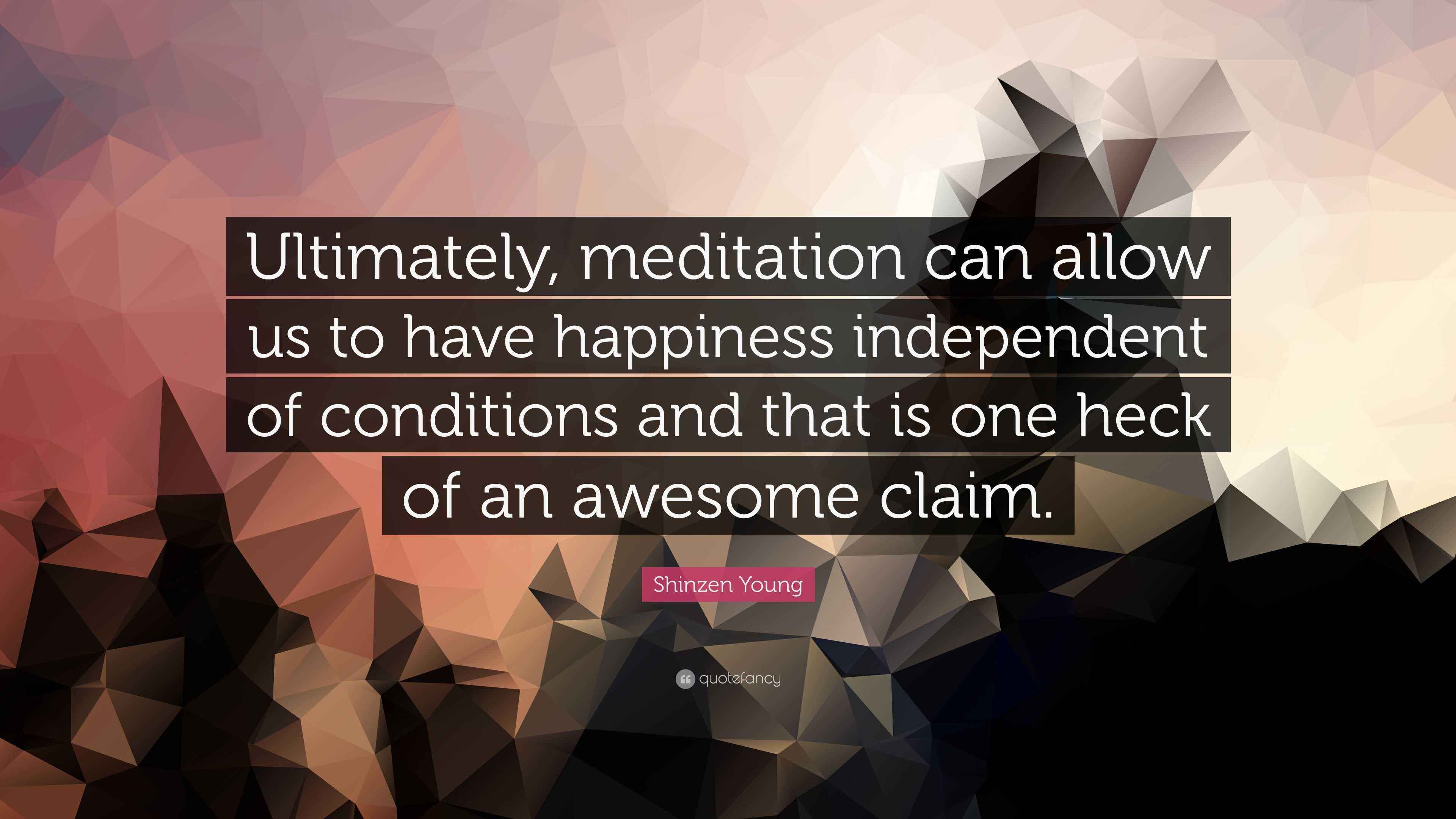 Shinzen Young Quote: “Ultimately, meditation can allow us to have ...