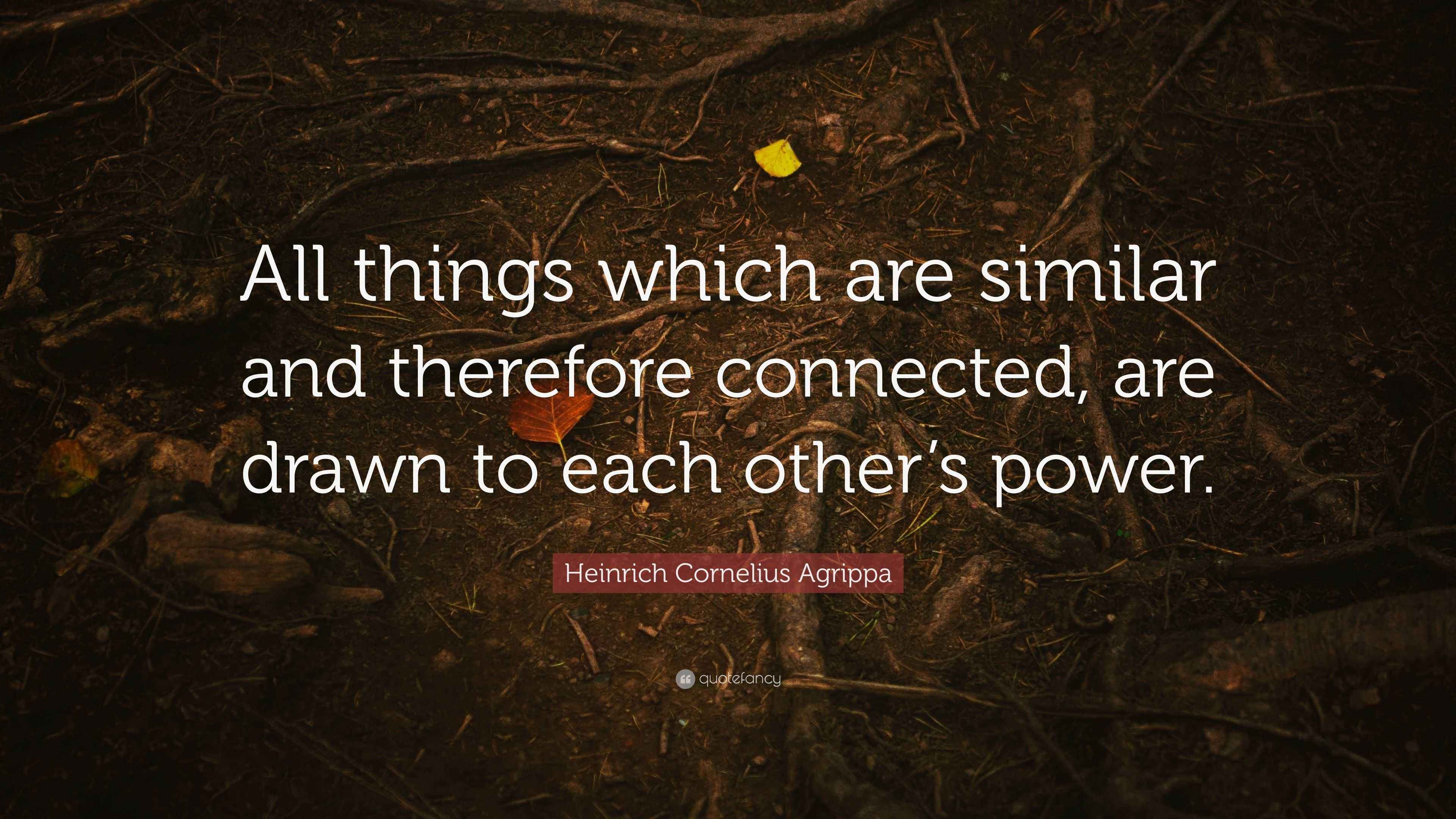 Heinrich Cornelius Agrippa Quote: “All things which are similar and ...