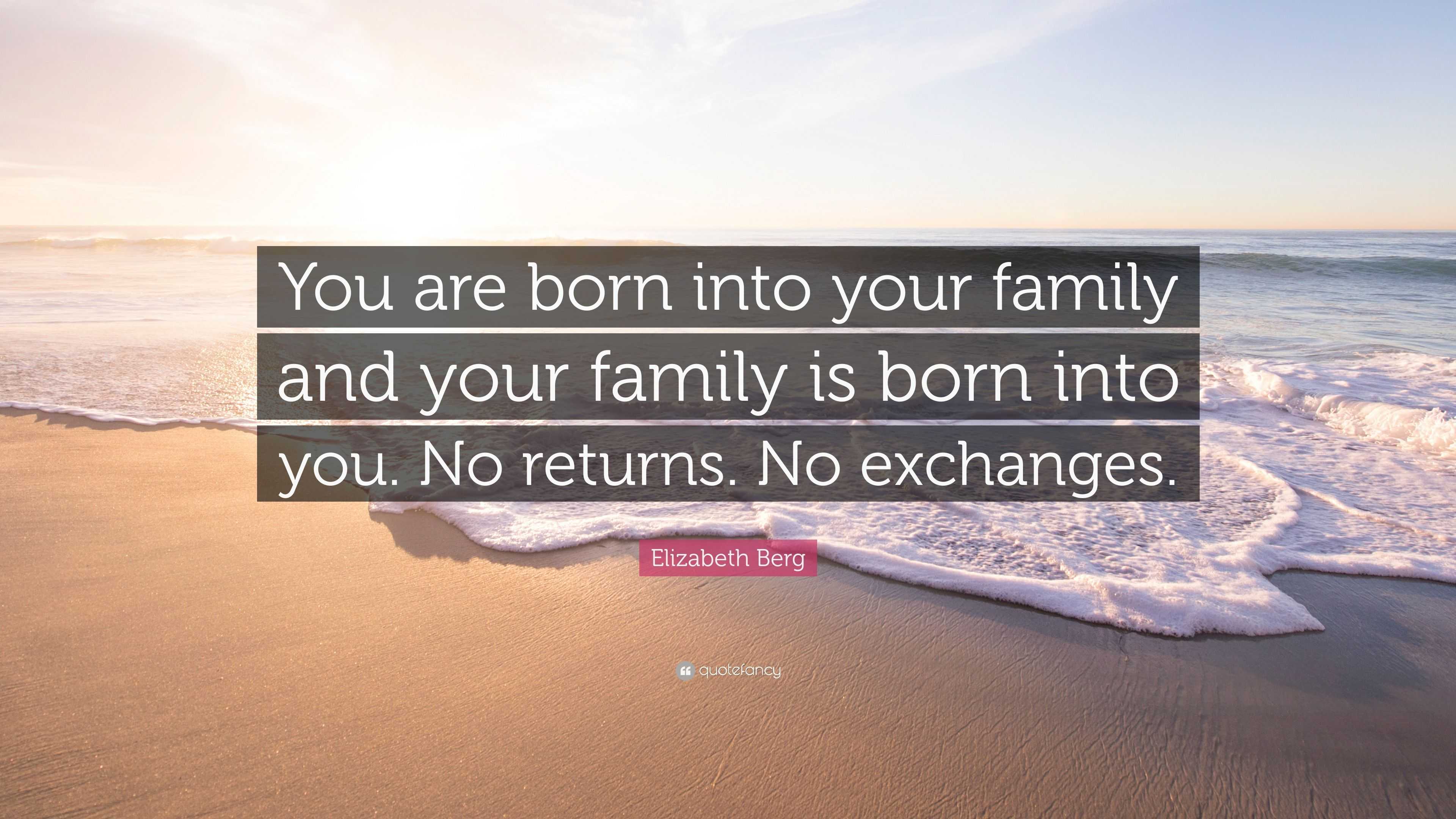 Elizabeth Berg Quote: “You are born into your family and your family is ...