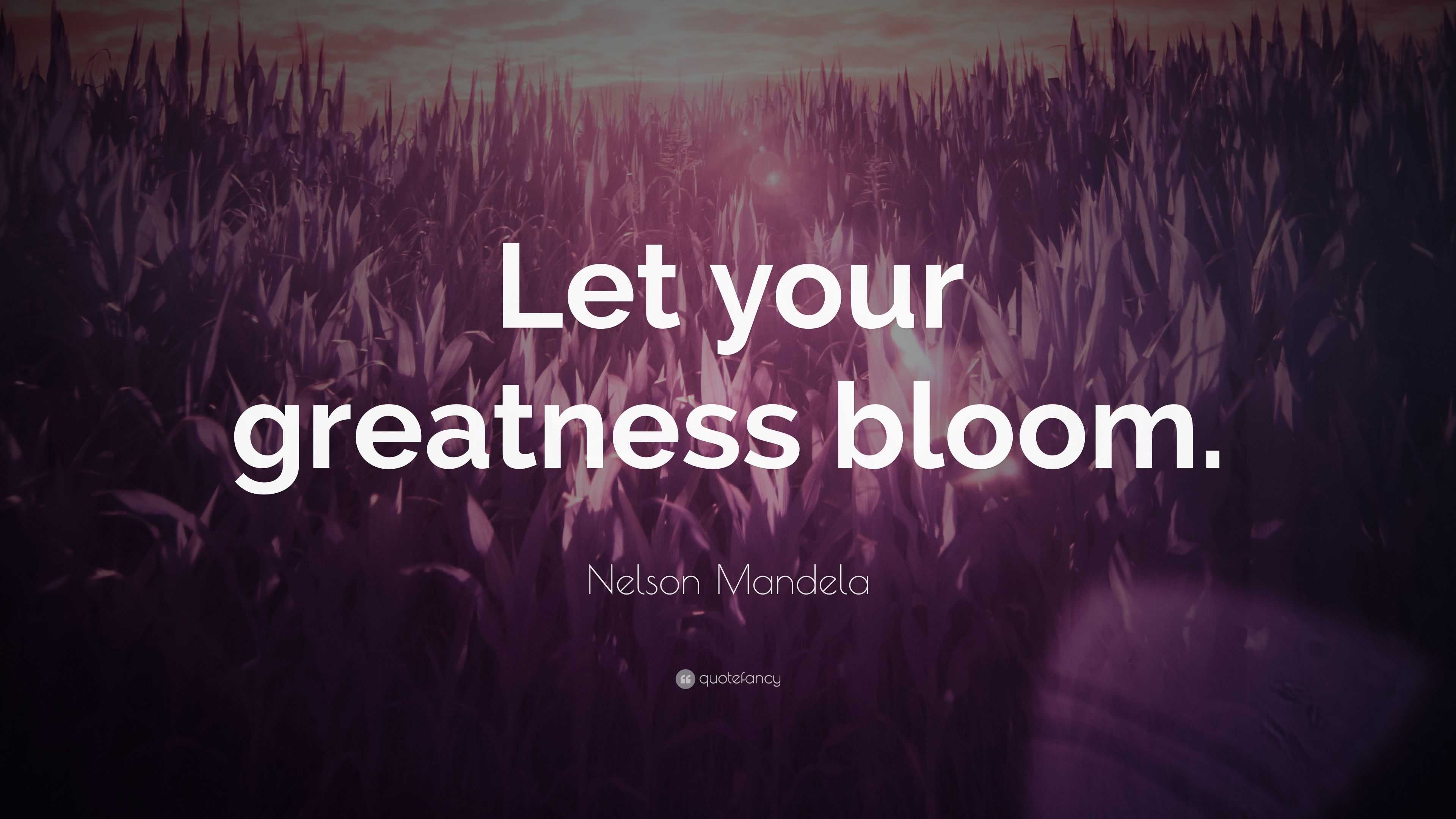 Nelson Mandela Quote: “Let your greatness bloom.”